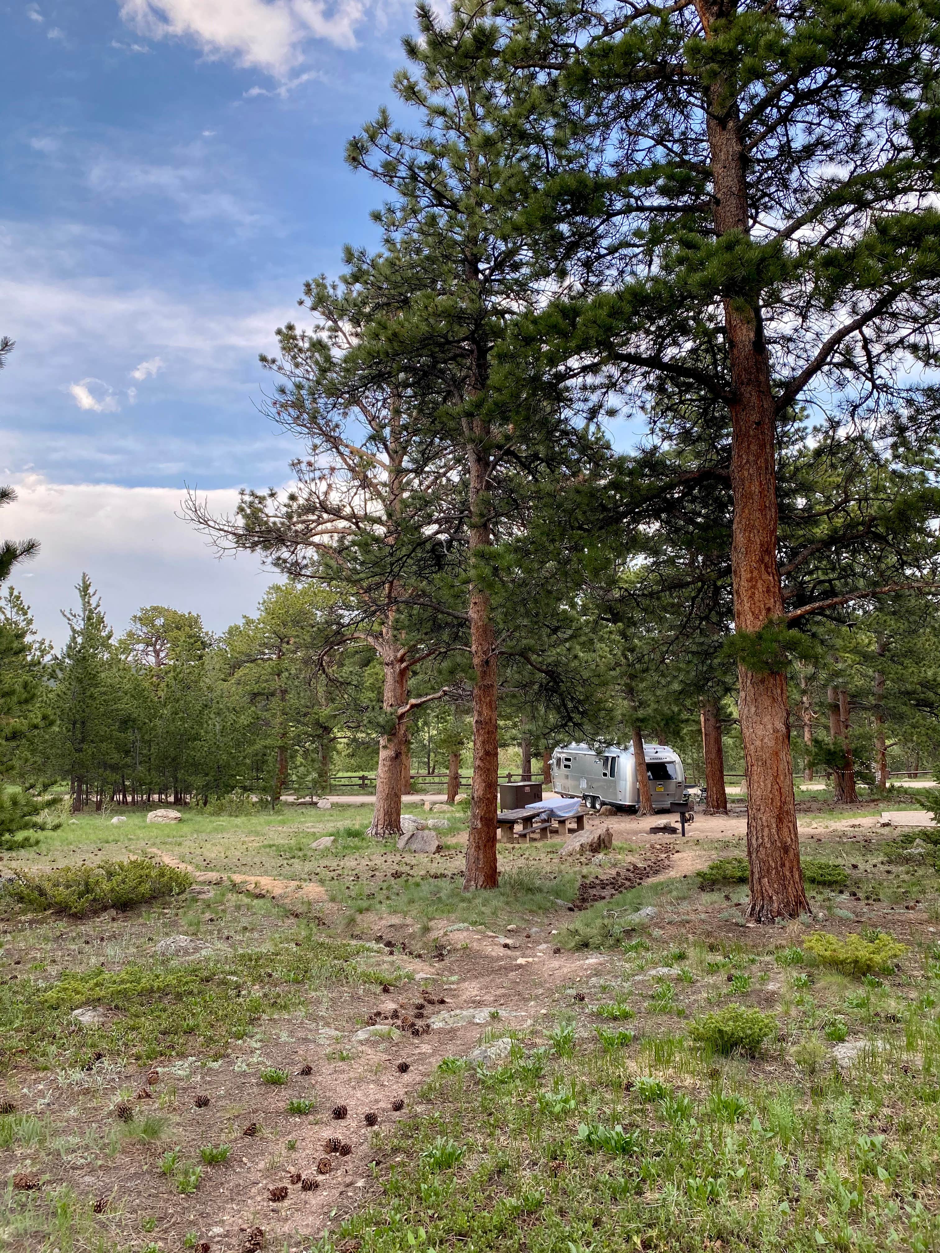 Olive Ridge | The Dyrt