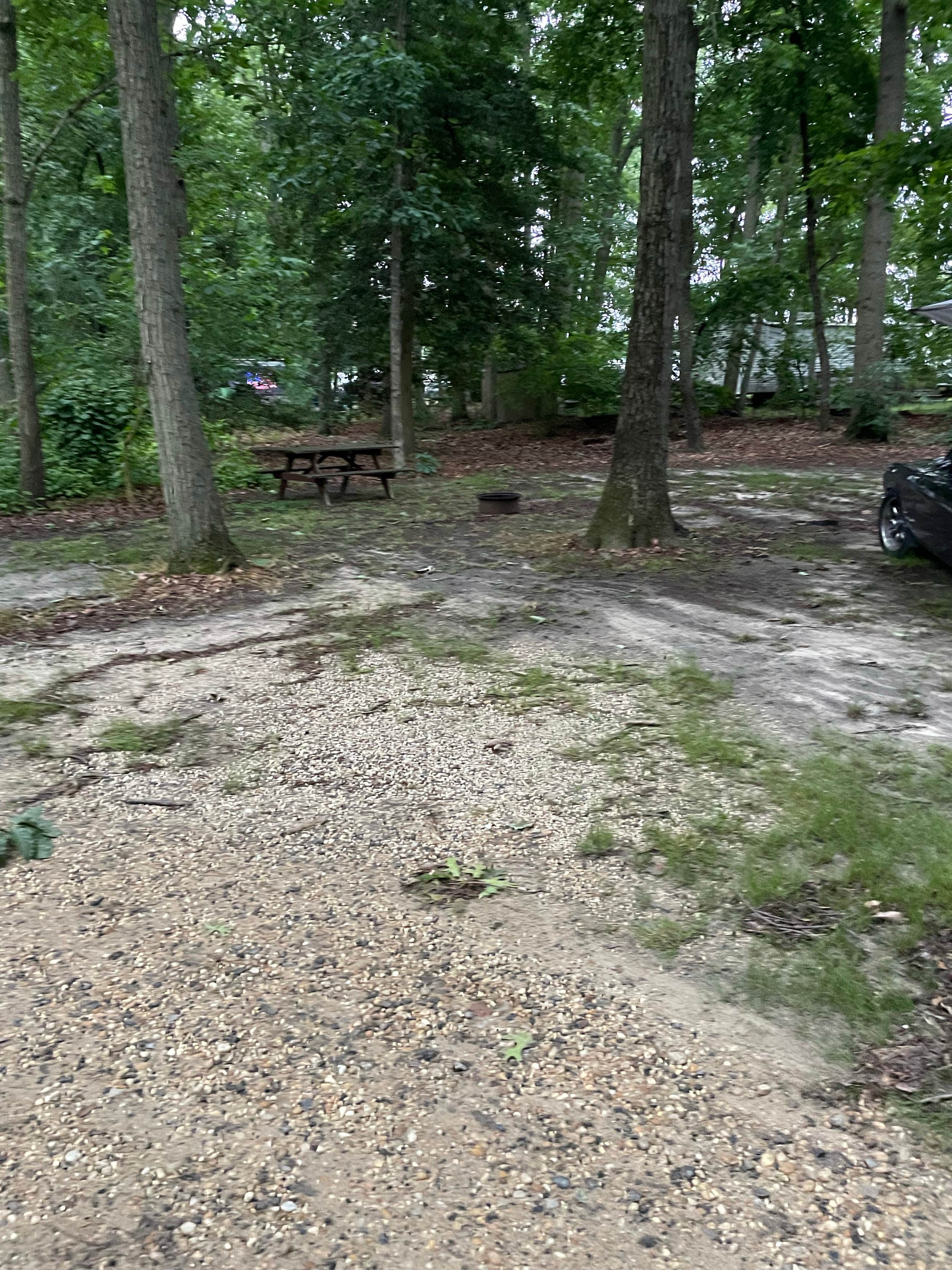 Old Cedar Camp | The Dyrt