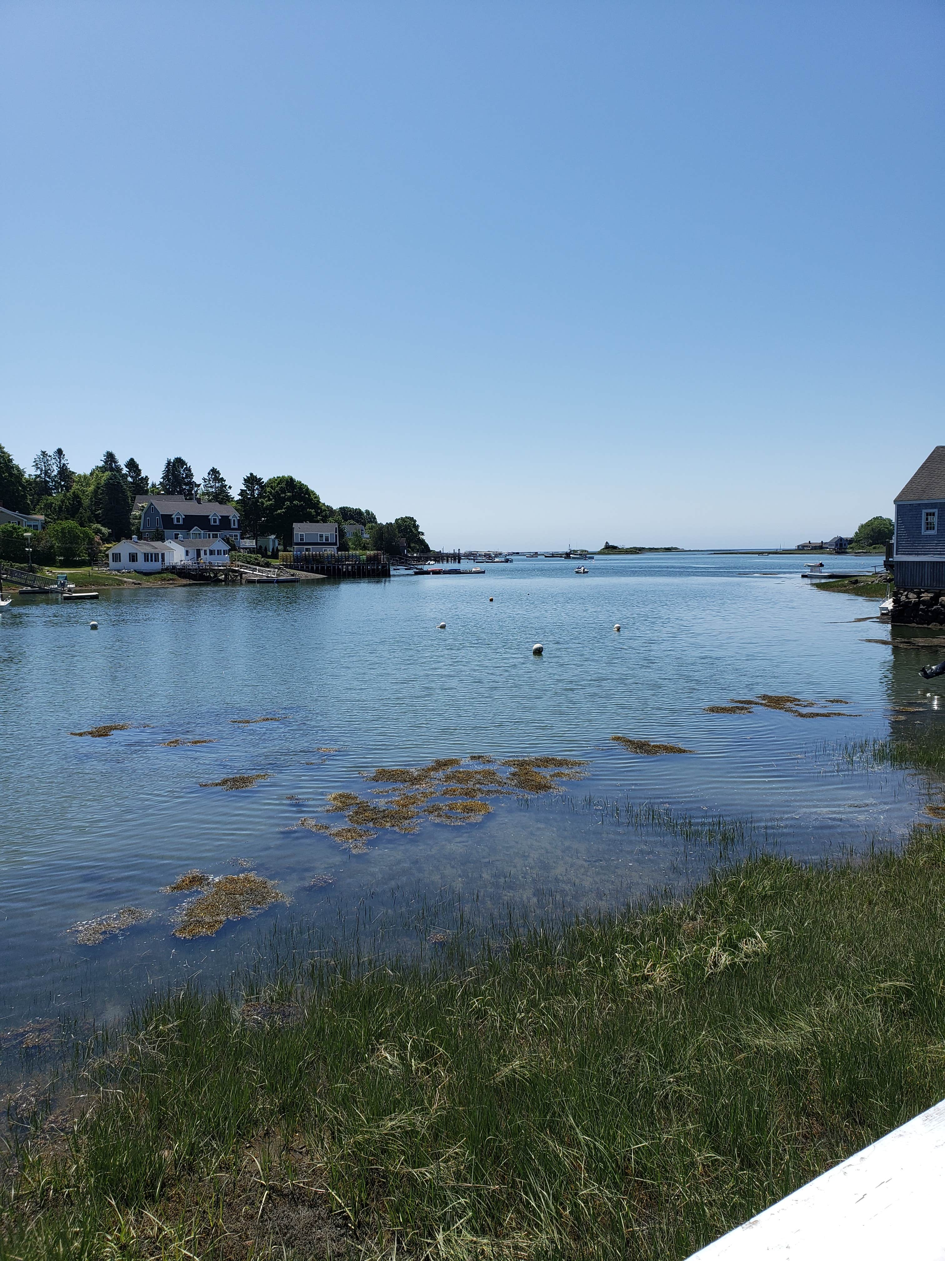 Sandy Pines Campground | The Dyrt