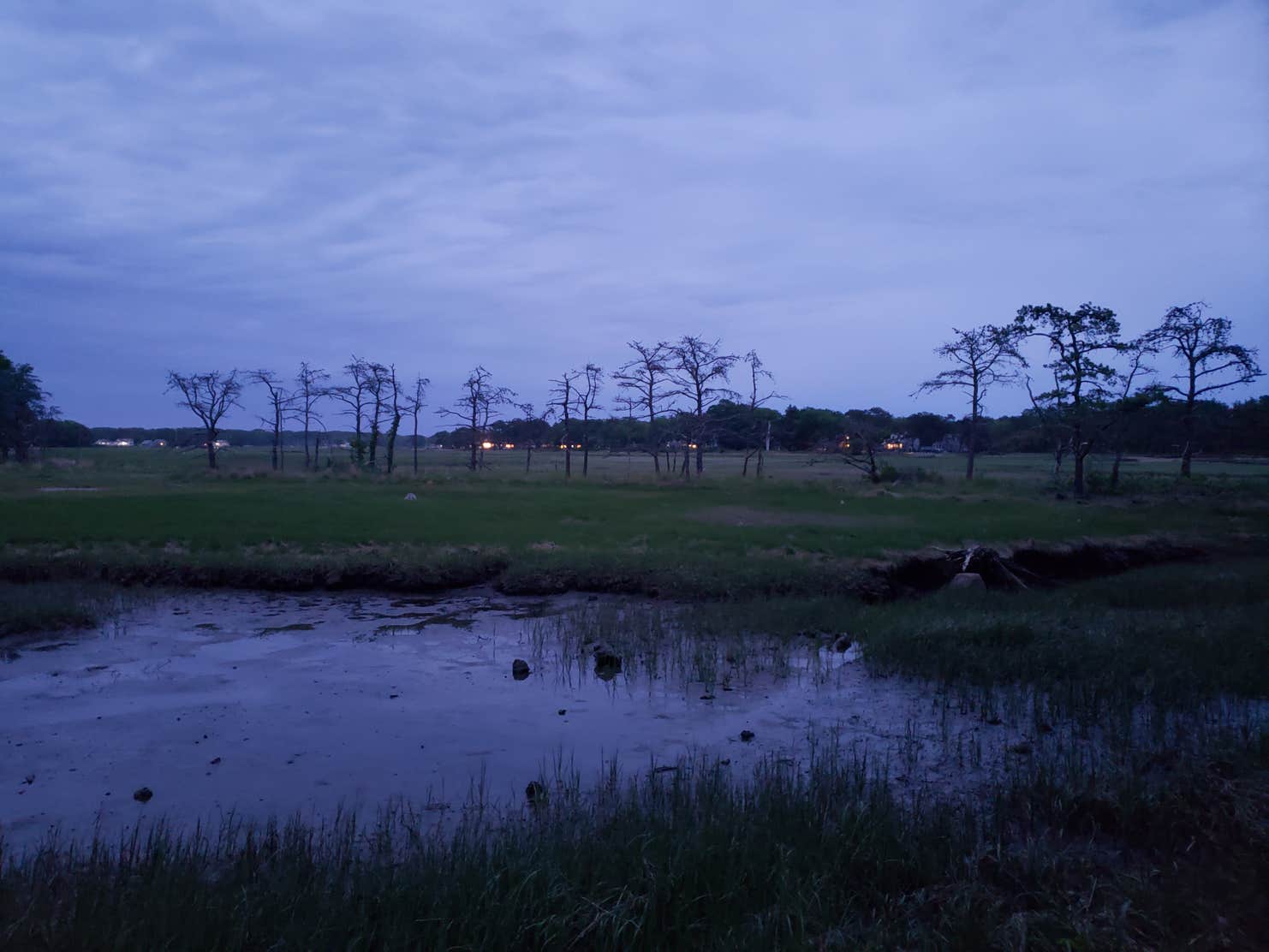 Sandy Pines Campground | The Dyrt