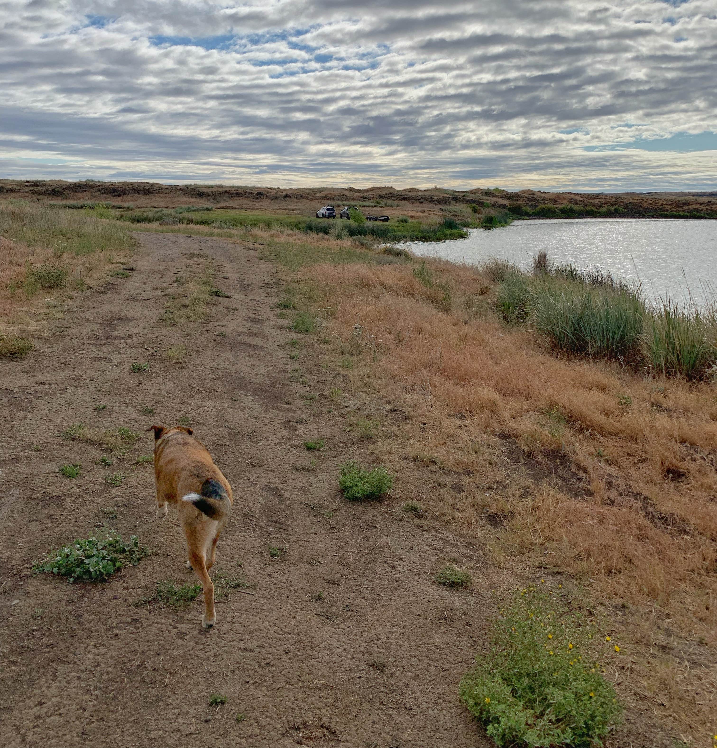 Cow Lake Camping | Lamont, Washington
