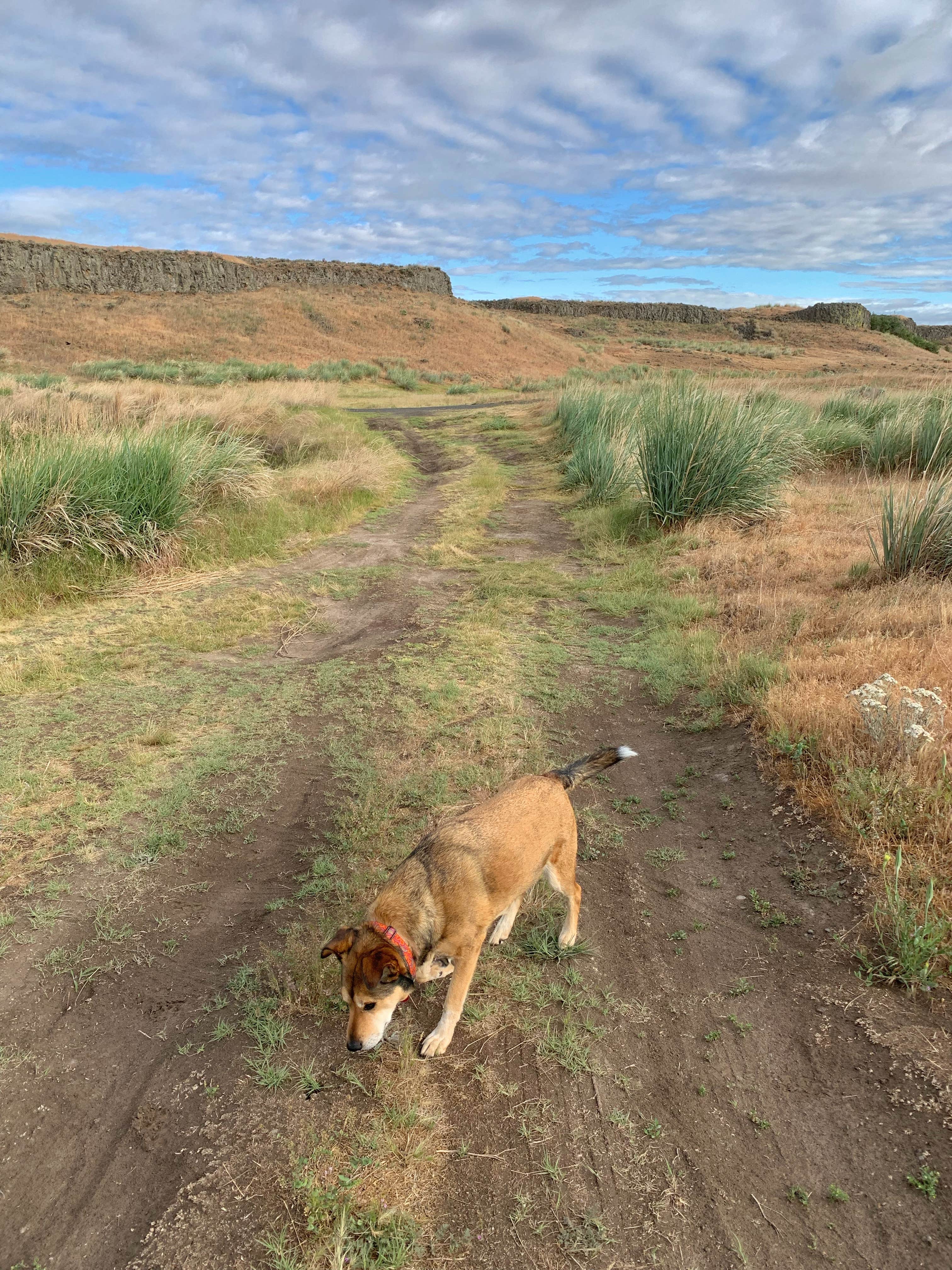 Cow Lake Camping | Lamont, Washington