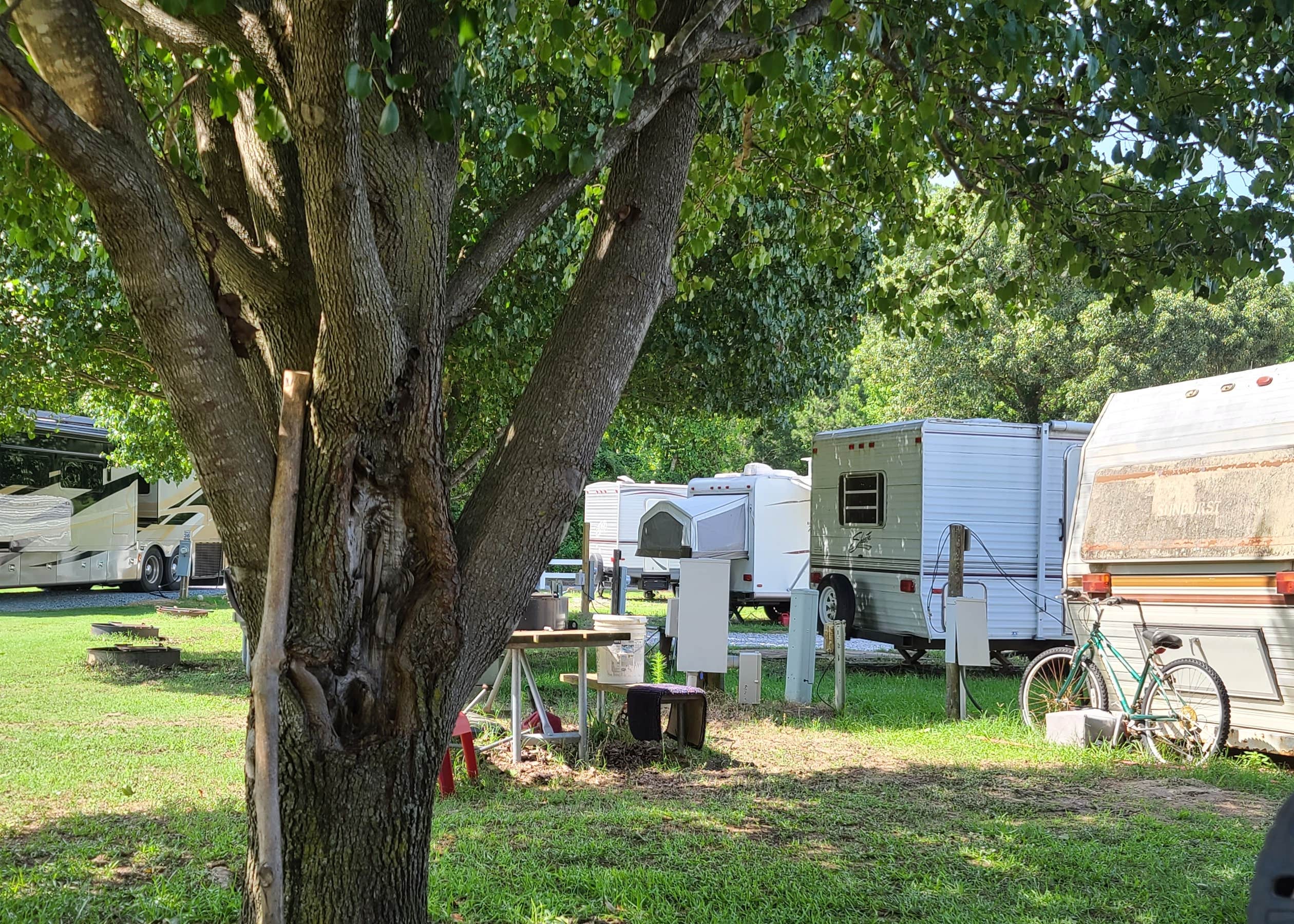 Four Oaks RV Resort Camping | The Dyrt