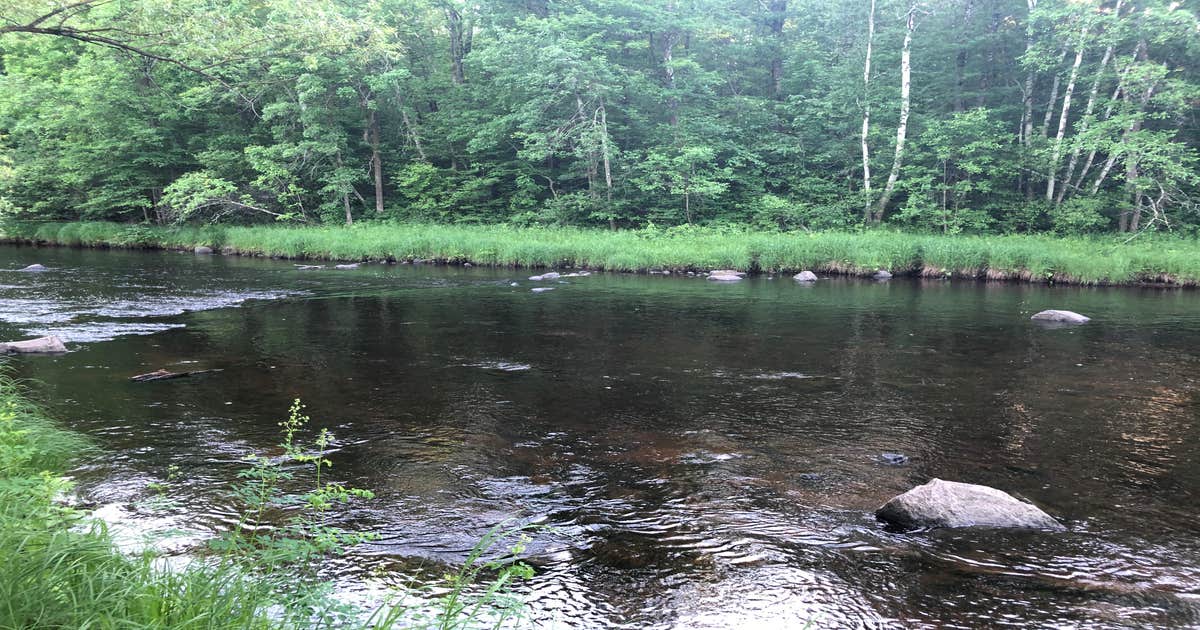 Thornapple River Campground | Ladysmith, Wisconsin