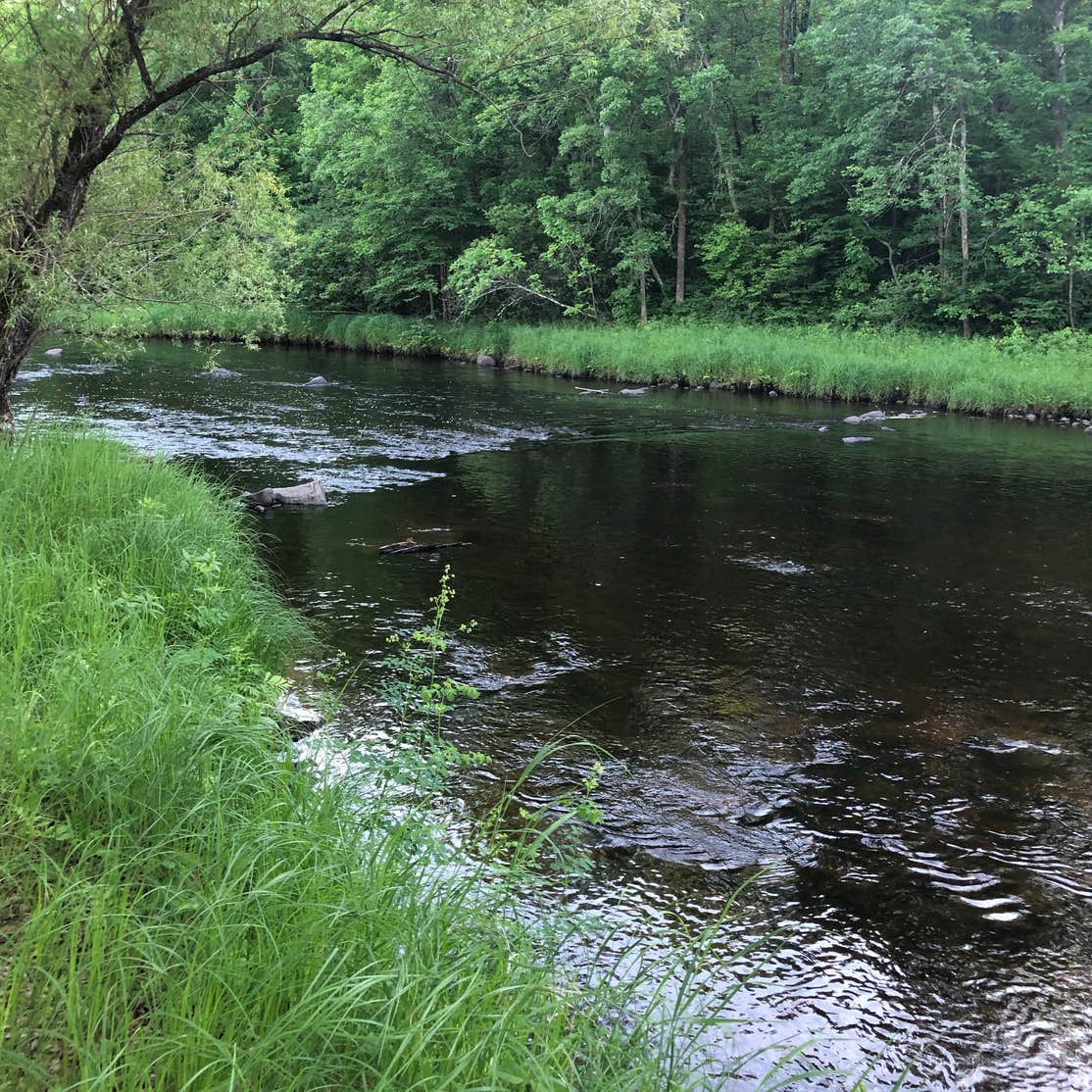 Thornapple River Campground | Ladysmith, Wisconsin