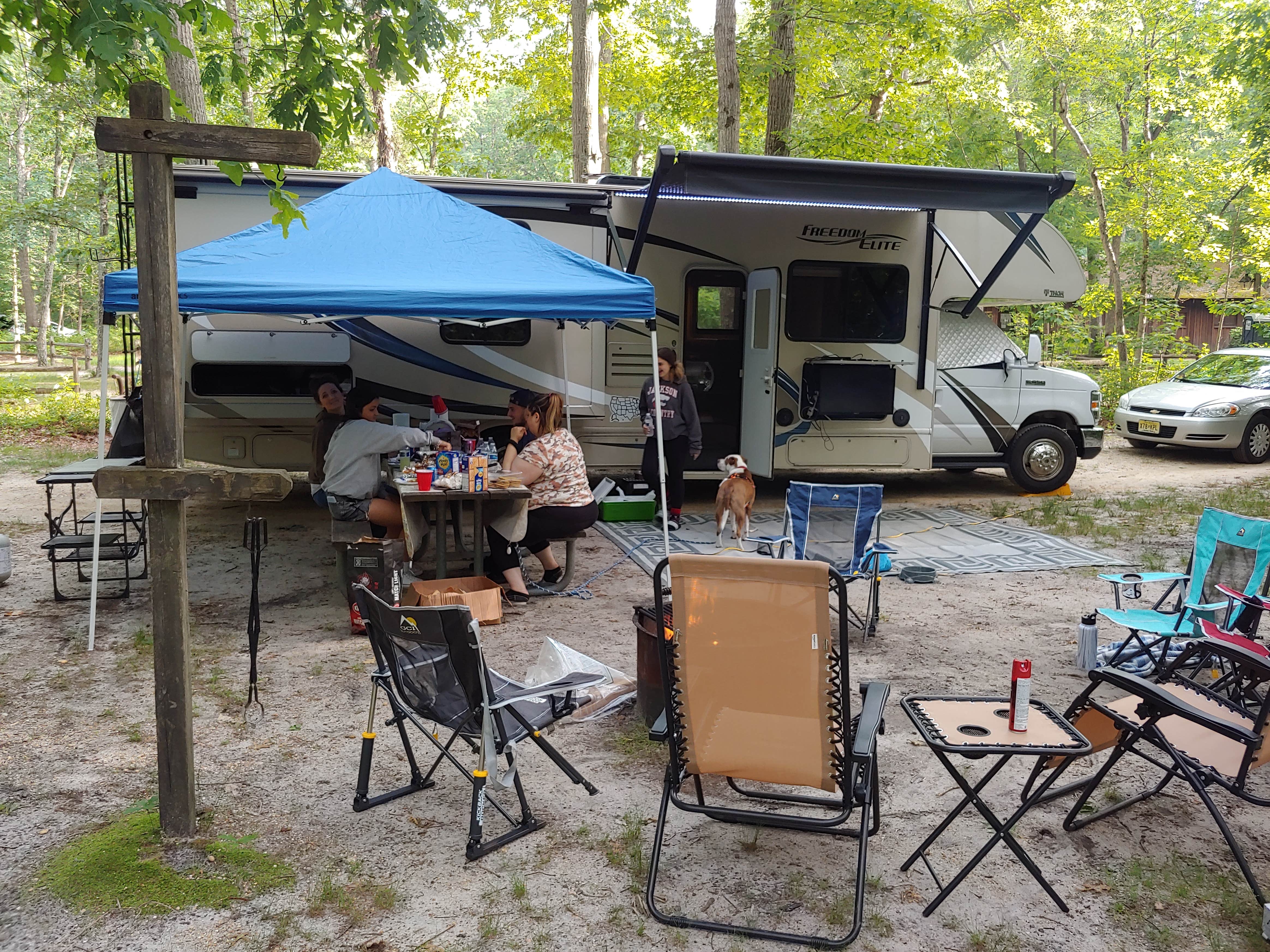 Turkey Swamp Park | The Dyrt