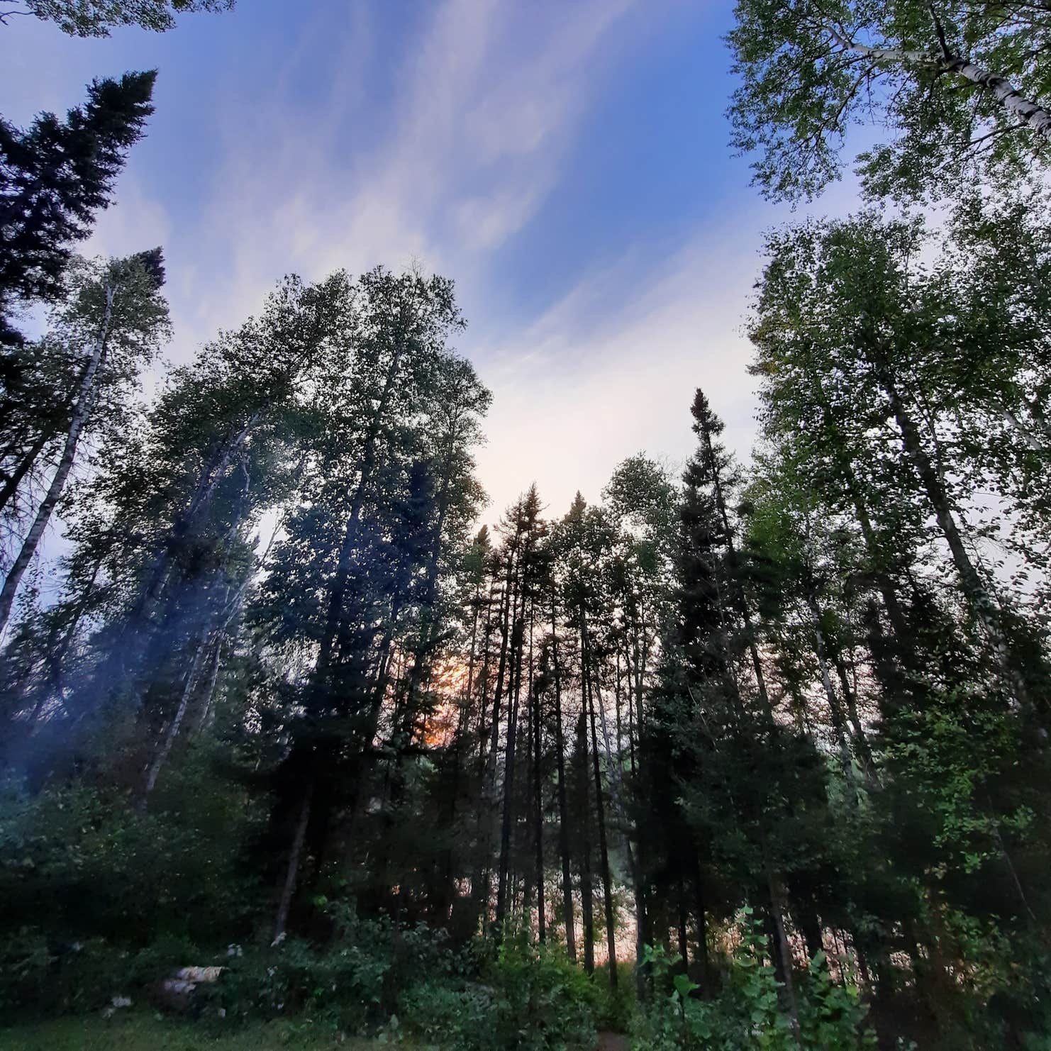 Sullivan Lake Campground | Finland, Minnesota