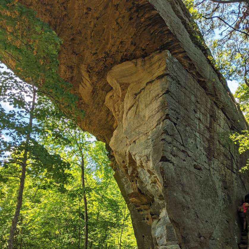 Natural Bridge Campground | Slade, KY