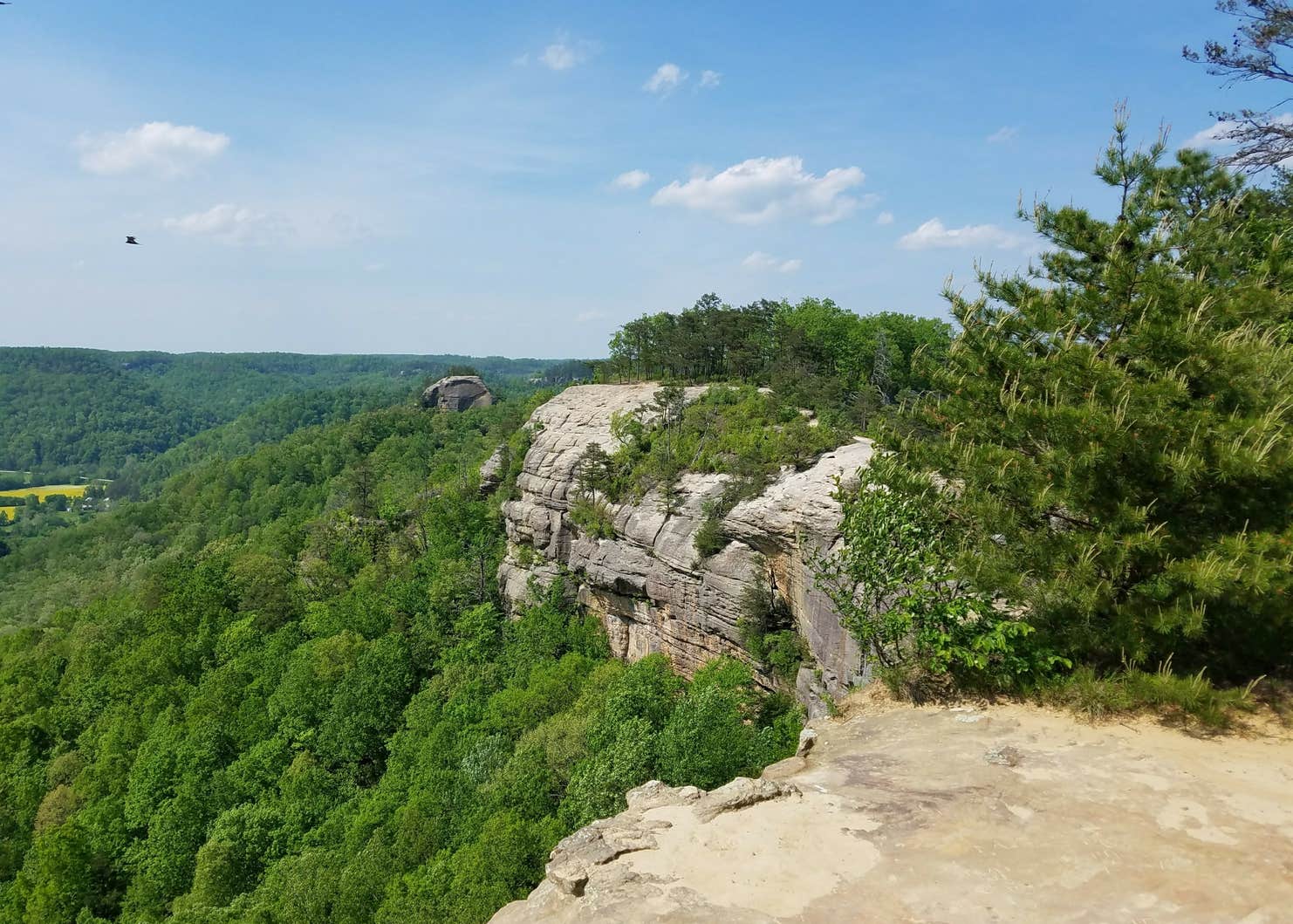 Red River Gorge Campground Camping | The Dyrt