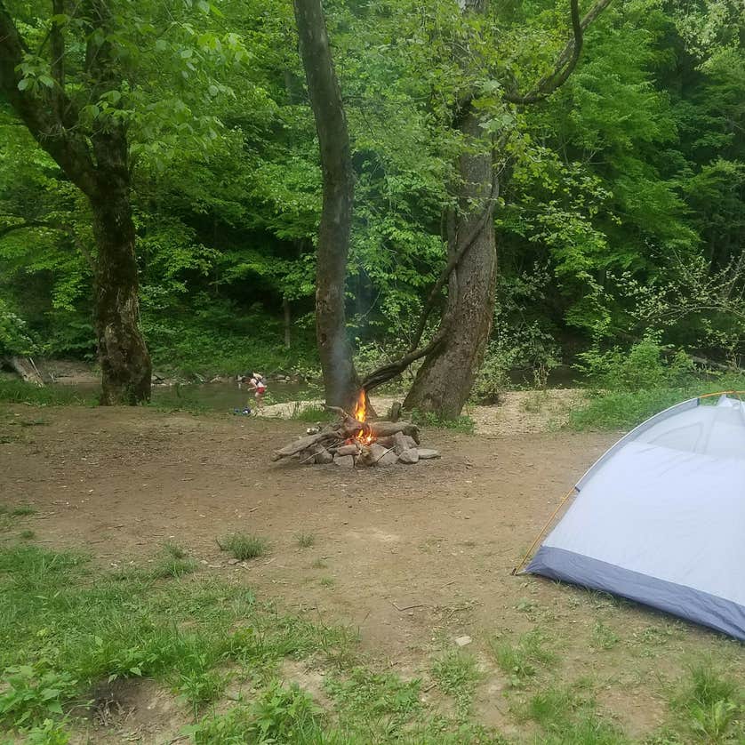 Red River Gorge Campground Camping | The Dyrt