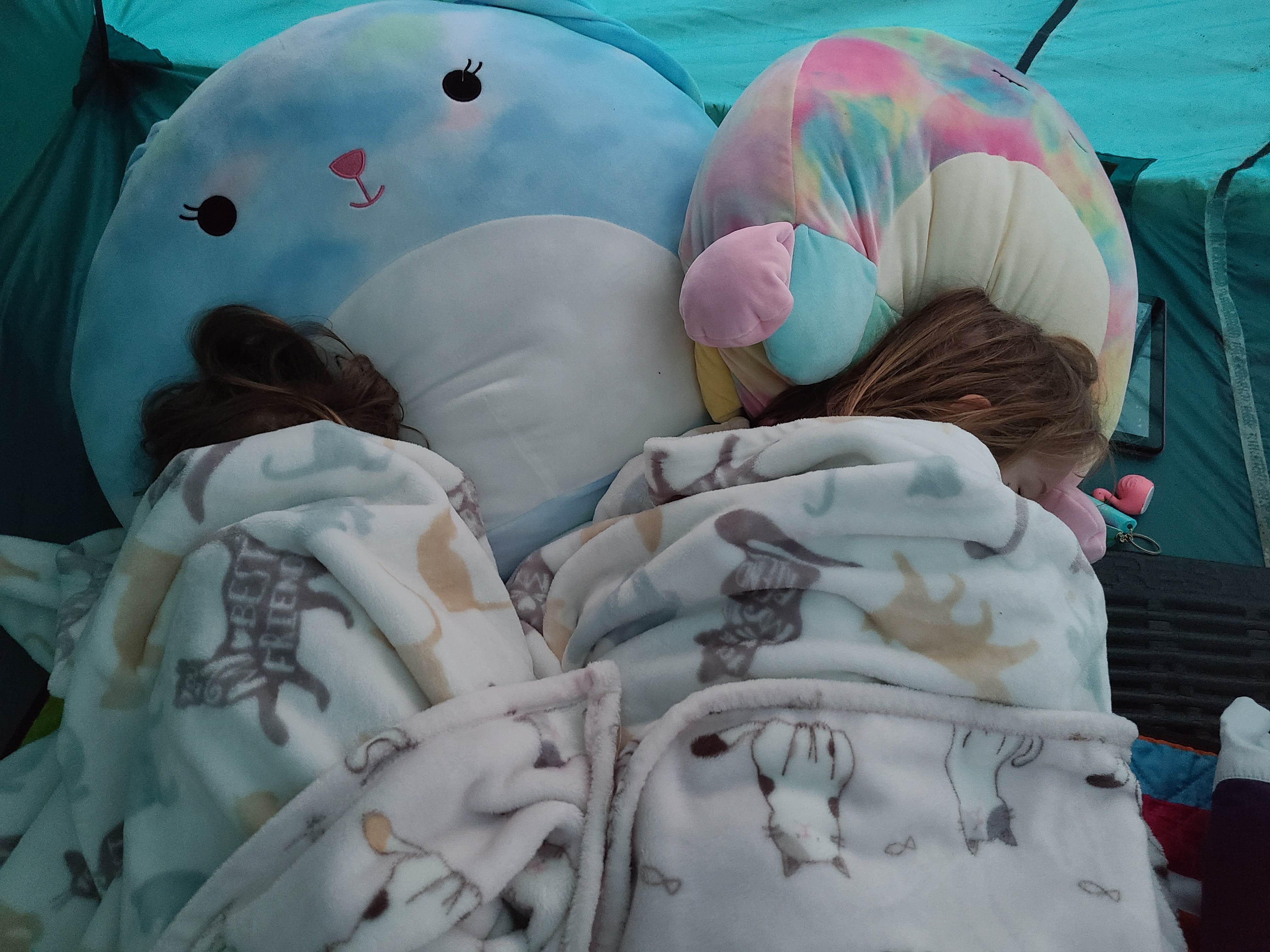 Lake Auburn Campground | Victoria, Minnesota