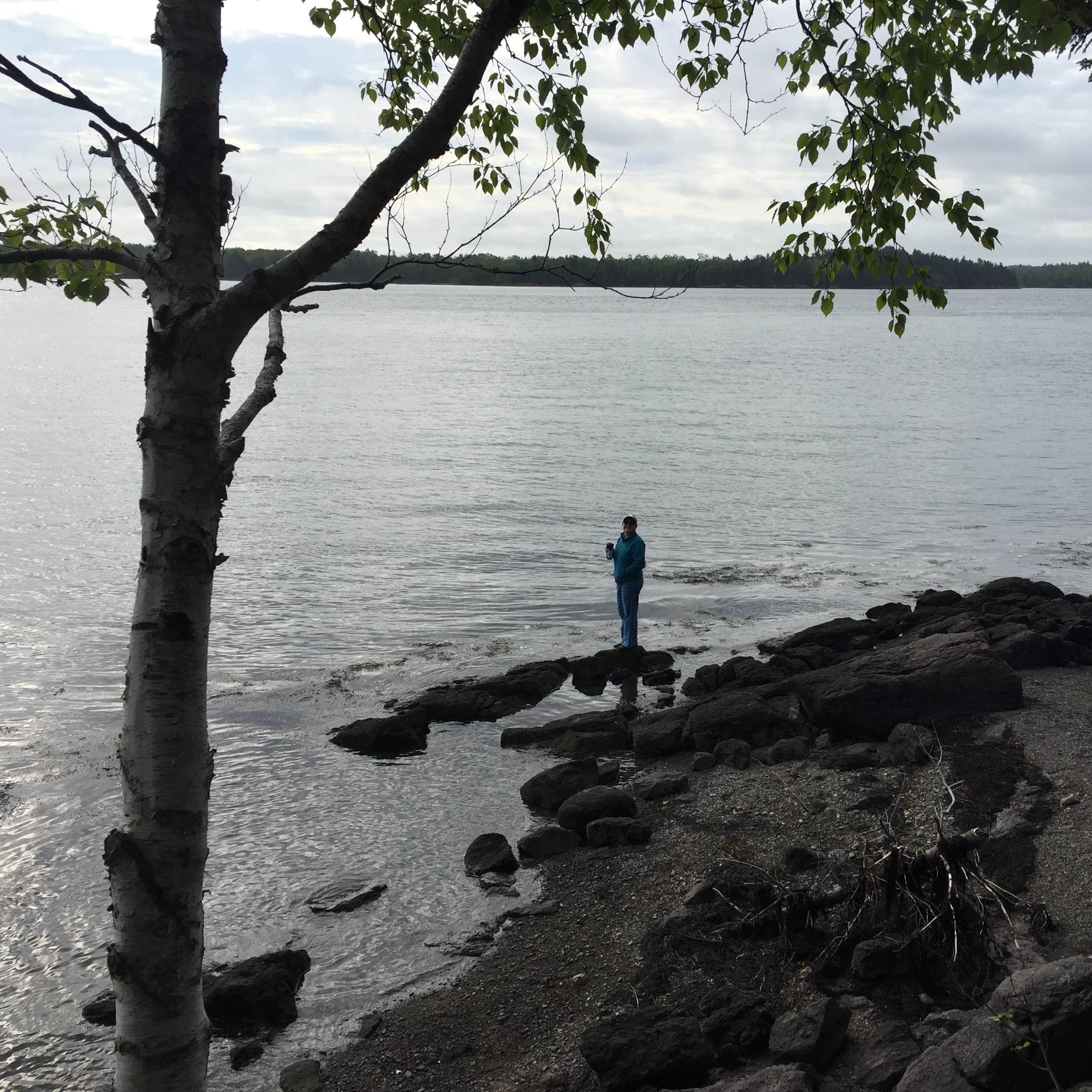 Cobscook Bay State Park Camping | The Dyrt
