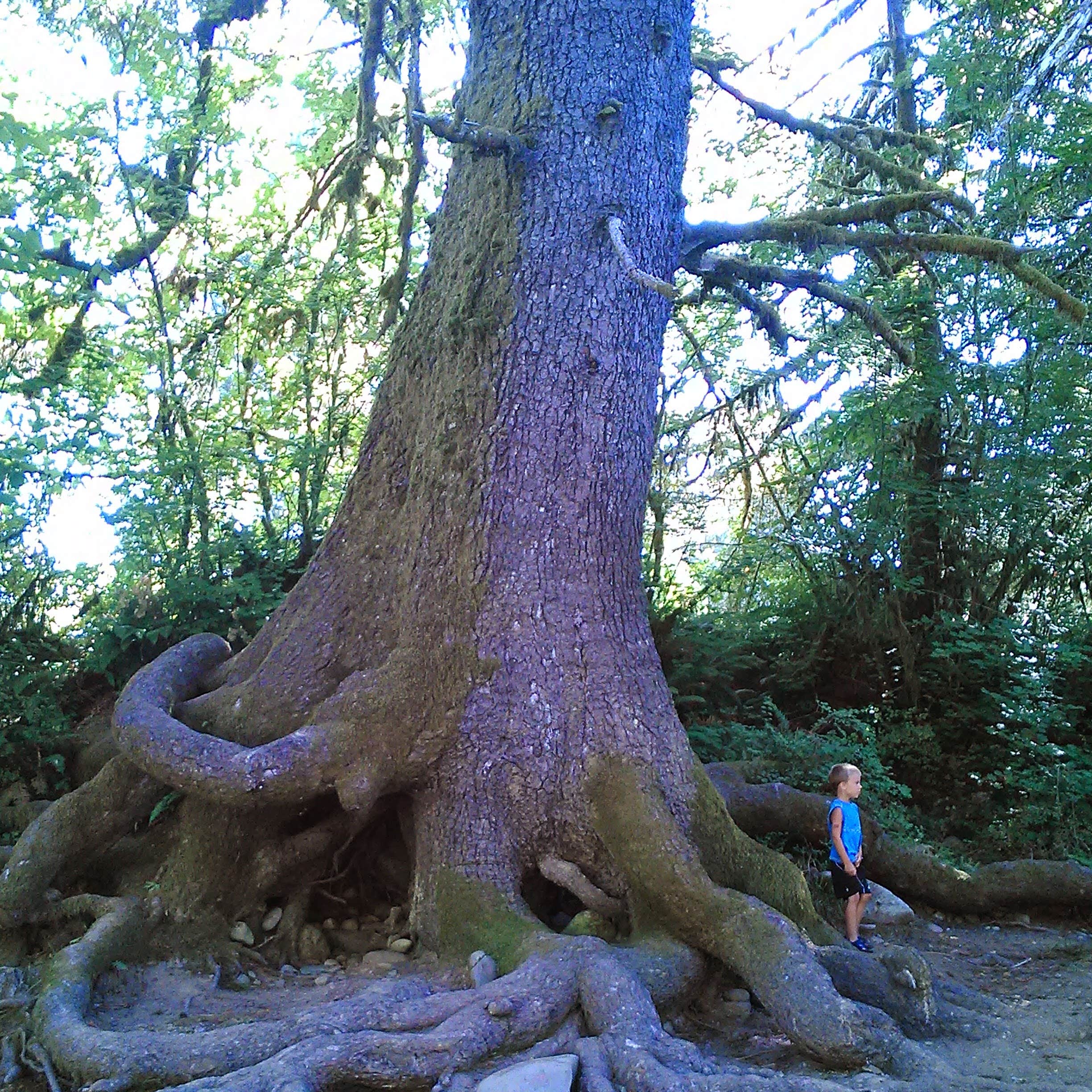Moonshine Park Camping | Logsden, Oregon