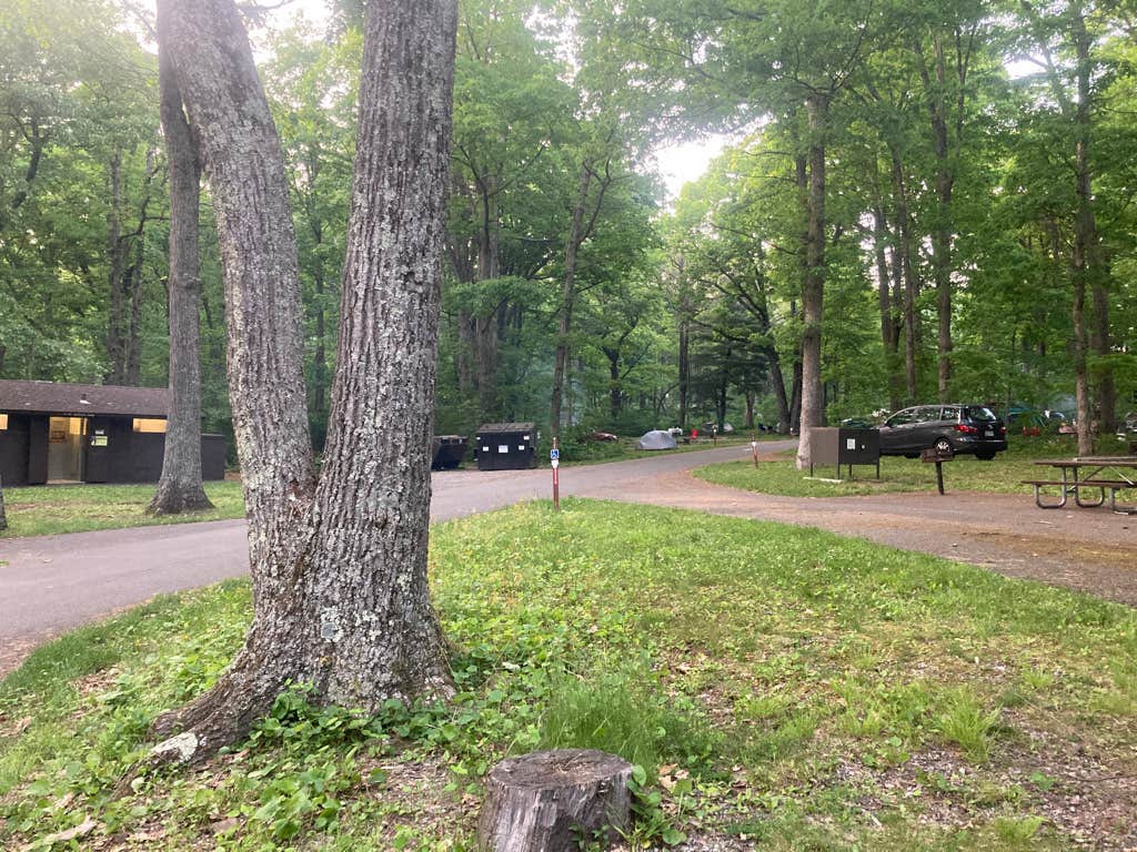 Mathews Arm Campground | The Dyrt