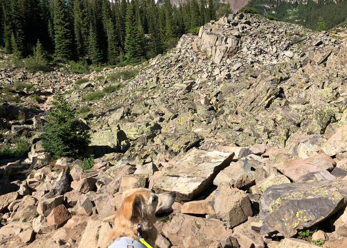 Maroon Bells-Snowmass Wilderness Dispersed Camping Camping | The Dyrt