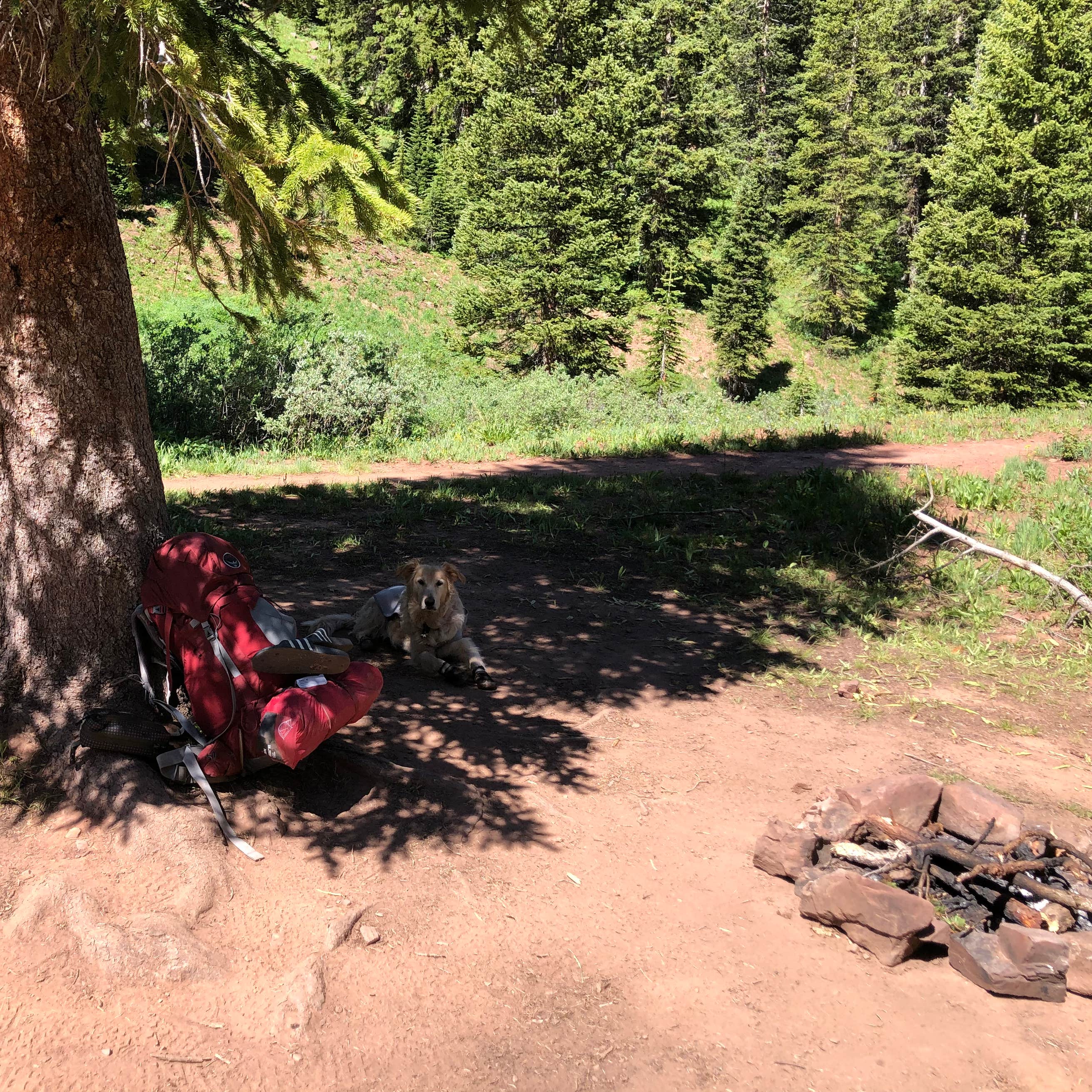 Maroon Bells-Snowmass Wilderness Dispersed Camping Camping | The Dyrt