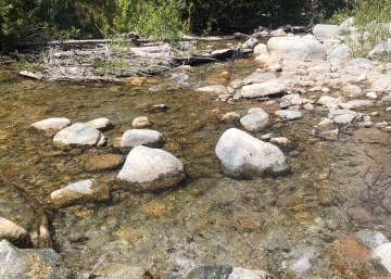 Camp Williams Resort Camping | The Dyrt