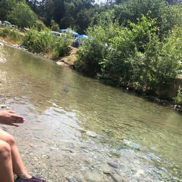 Camp Williams Resort Camping | The Dyrt