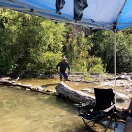 Camp Williams Resort Camping | The Dyrt