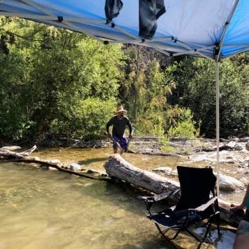 Camp Williams Resort Camping | The Dyrt
