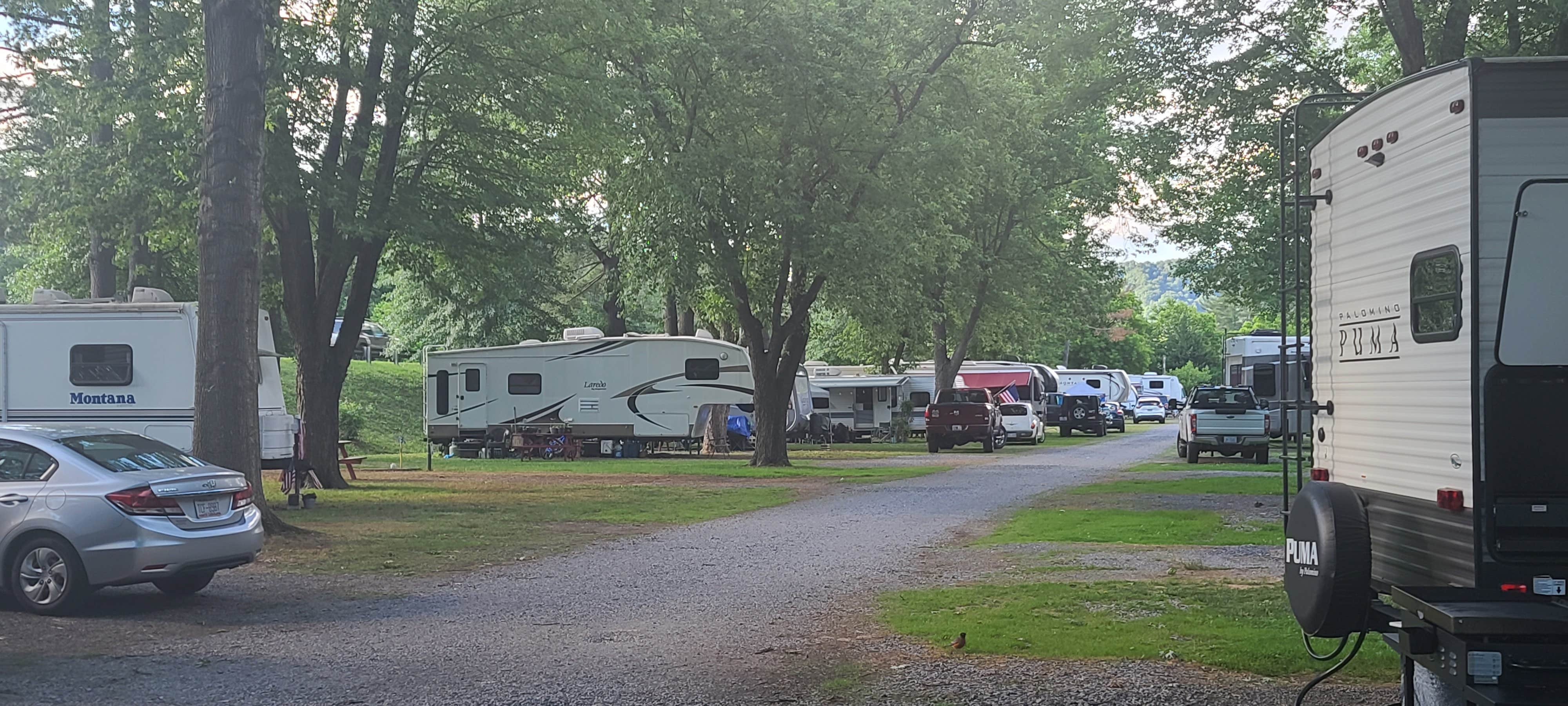 Pride RV Resort | Waynesville, NC