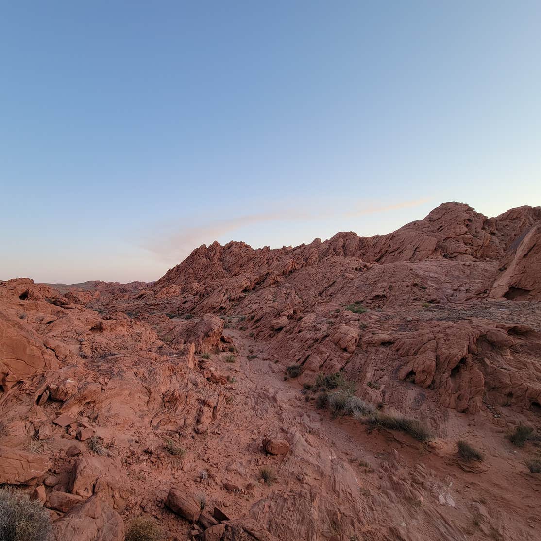 BLM Logandale Trails System Primitive Camping | Overton, Nevada