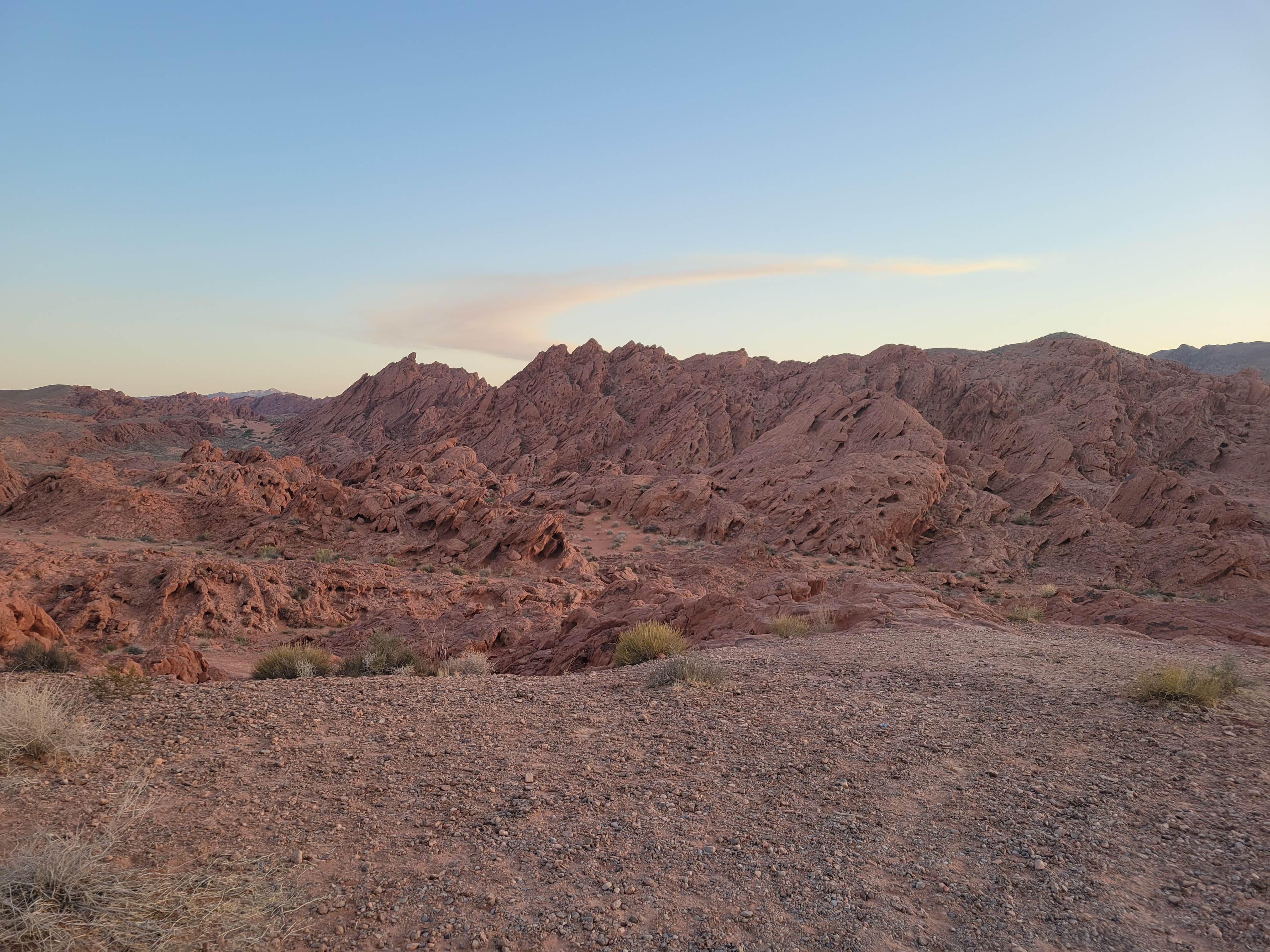 BLM Logandale Trails System Primitive Camping | Logandale, NV