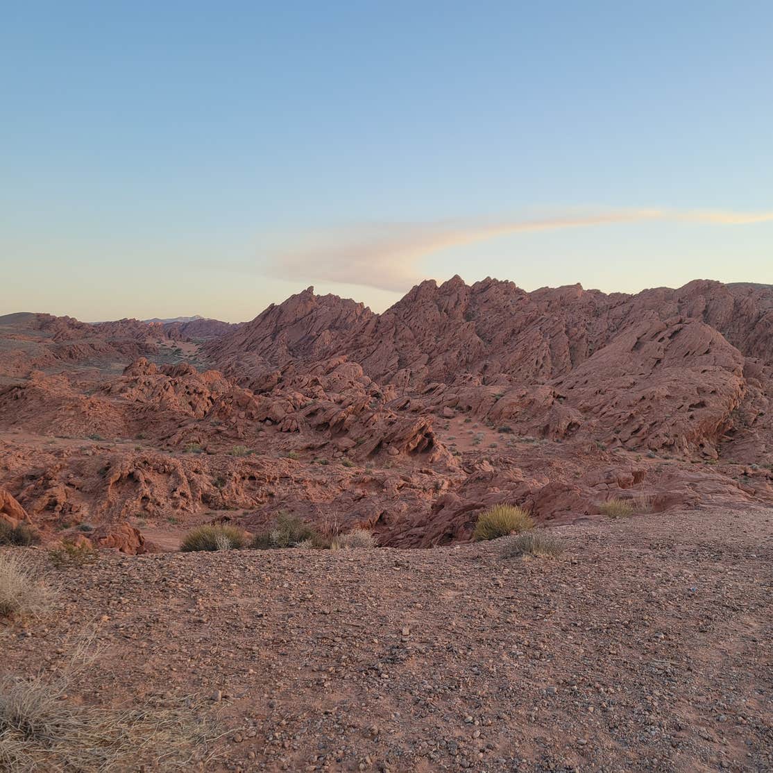 BLM Logandale Trails System Primitive Camping | Overton, Nevada