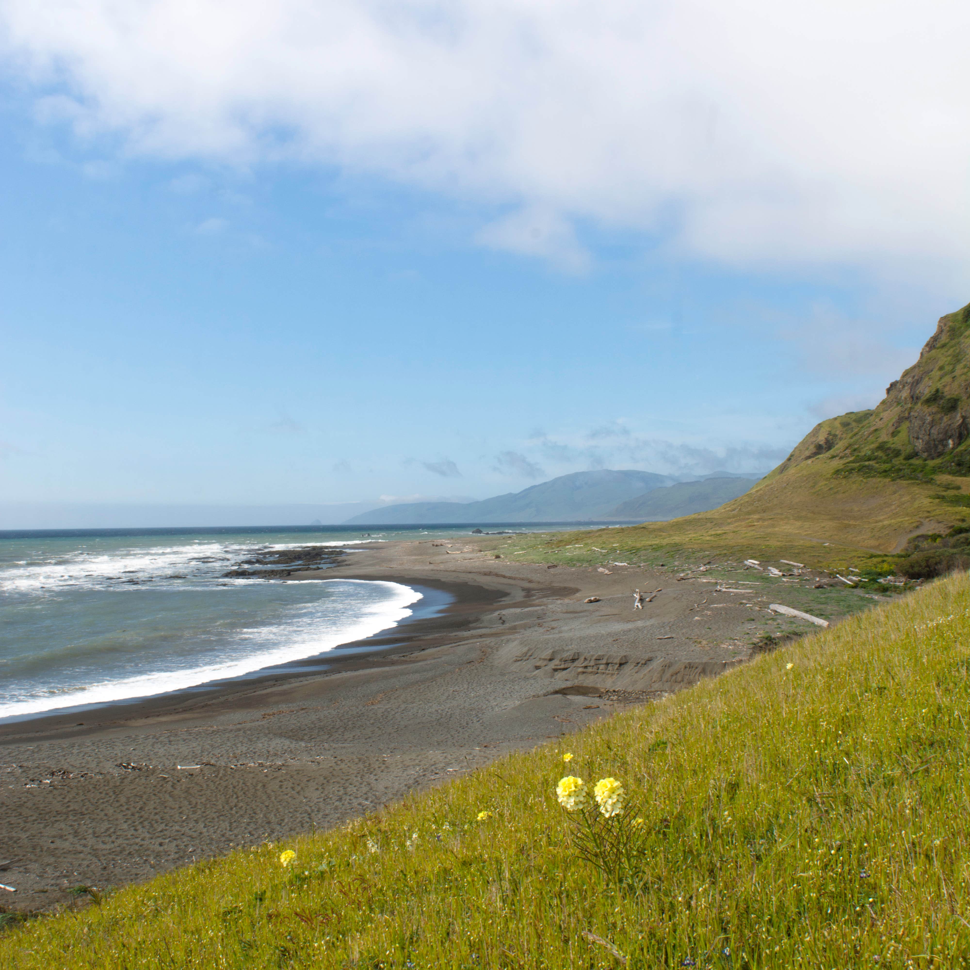 King Range Conservation Area Camping | Whitethorn, CA
