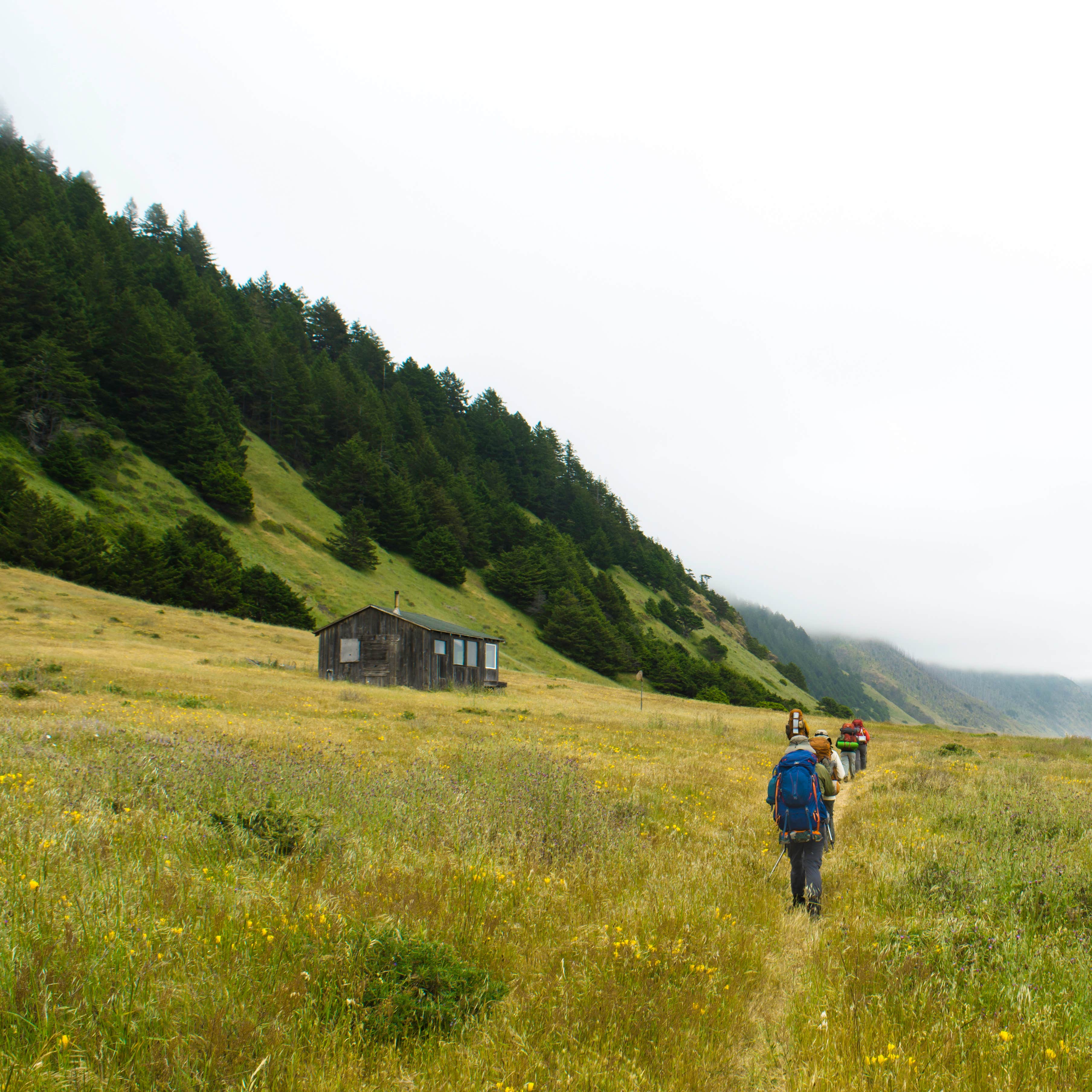 King Range Conservation Area Camping | The Dyrt
