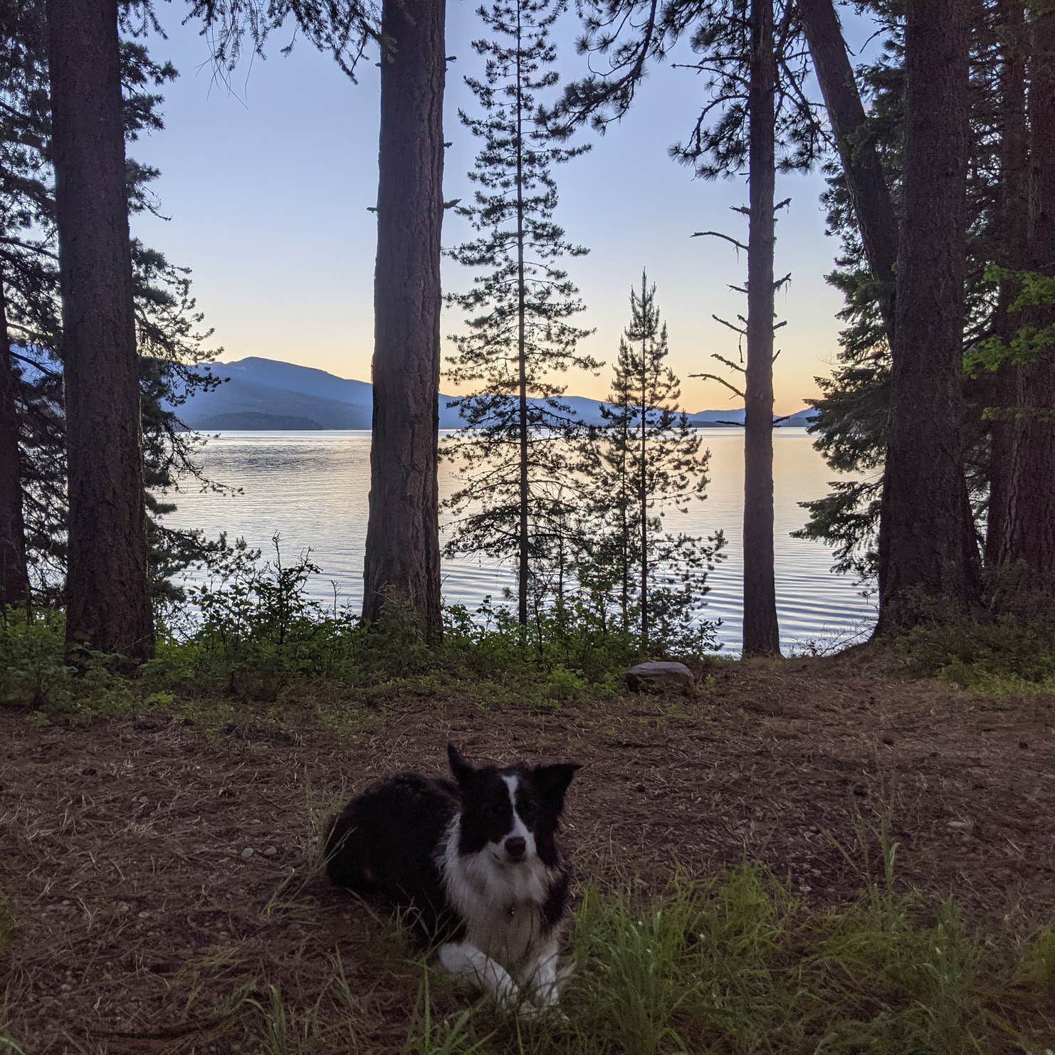 Reeder Bay Campground Camping | The Dyrt