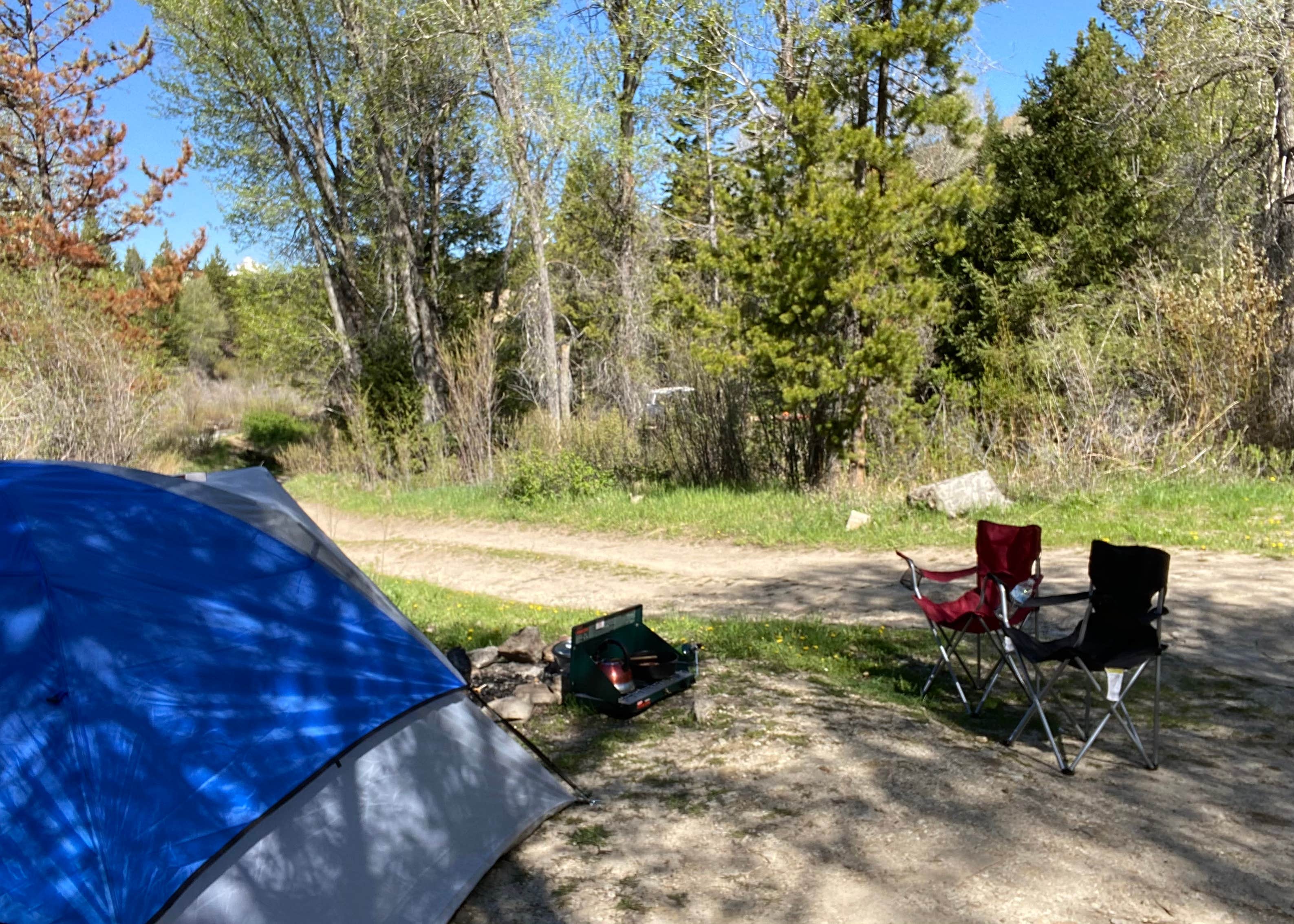 Taylor Ranch Road Dispersed Camping Camping | The Dyrt