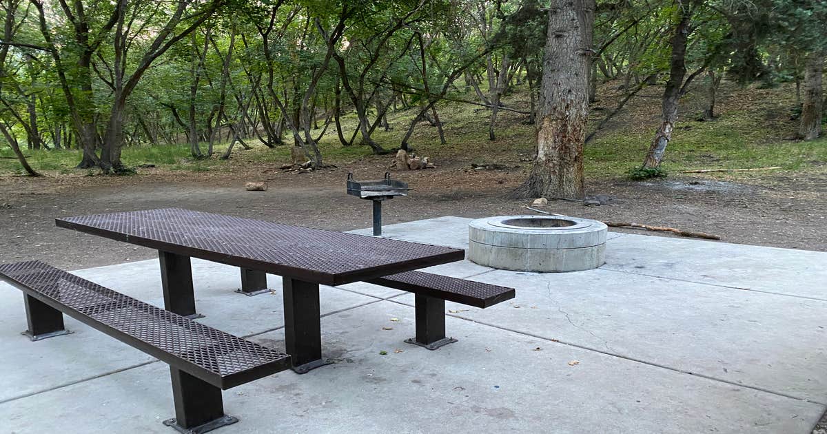 Camper-Submitted Photos of Maple Lake