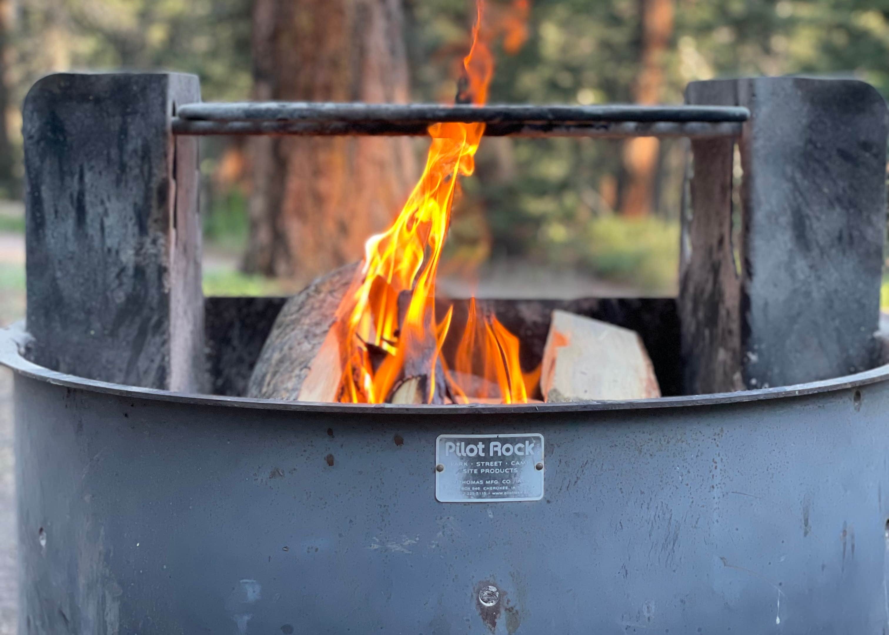 Springdale Campground Camping | The Dyrt