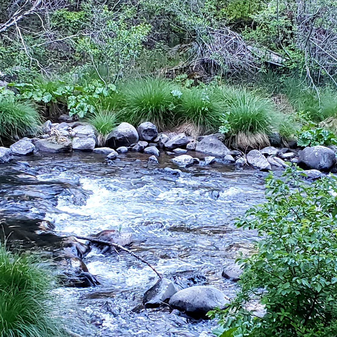 Elam Campground Camping | The Dyrt