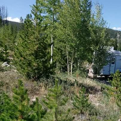 Lowry Campground Camping | The Dyrt