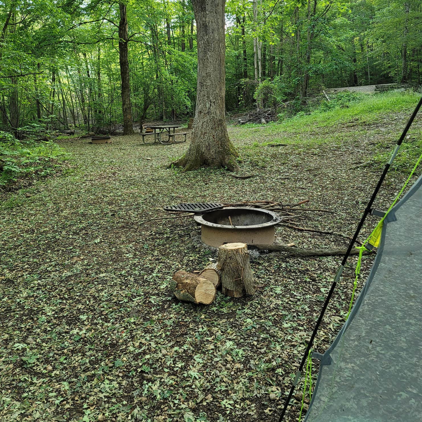 Dewdrop Camping | Bradford, PA