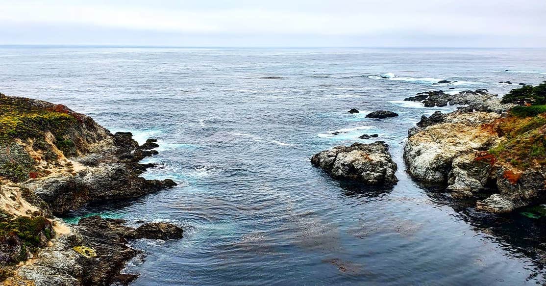 Big Sur Campground & Cabins | The Dyrt