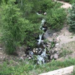 Bruce Spruce Ranch Camping | Pagosa Springs, Colorado