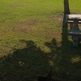 Brunswick Beaches RV Resort | Sunset Beach, North Carolina