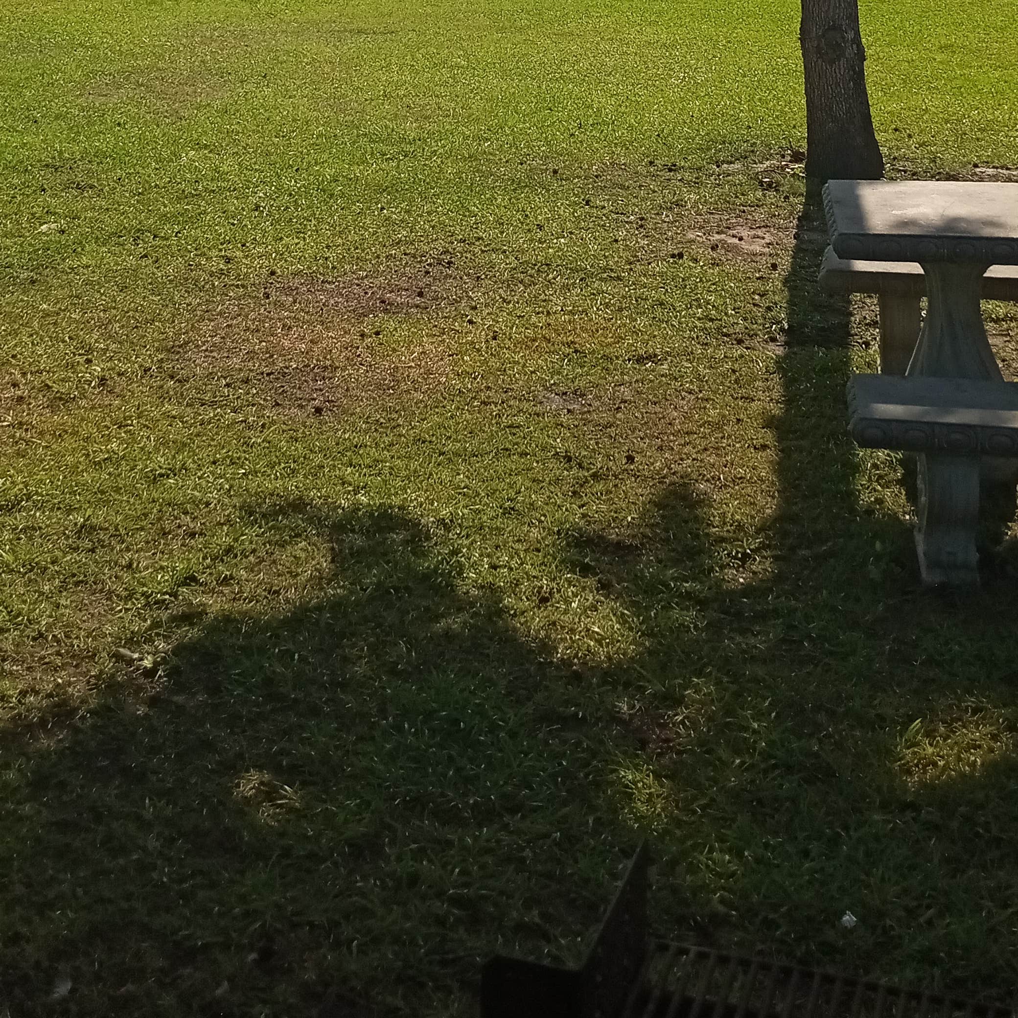 Brunswick Beaches RV Resort | Sunset Beach, North Carolina