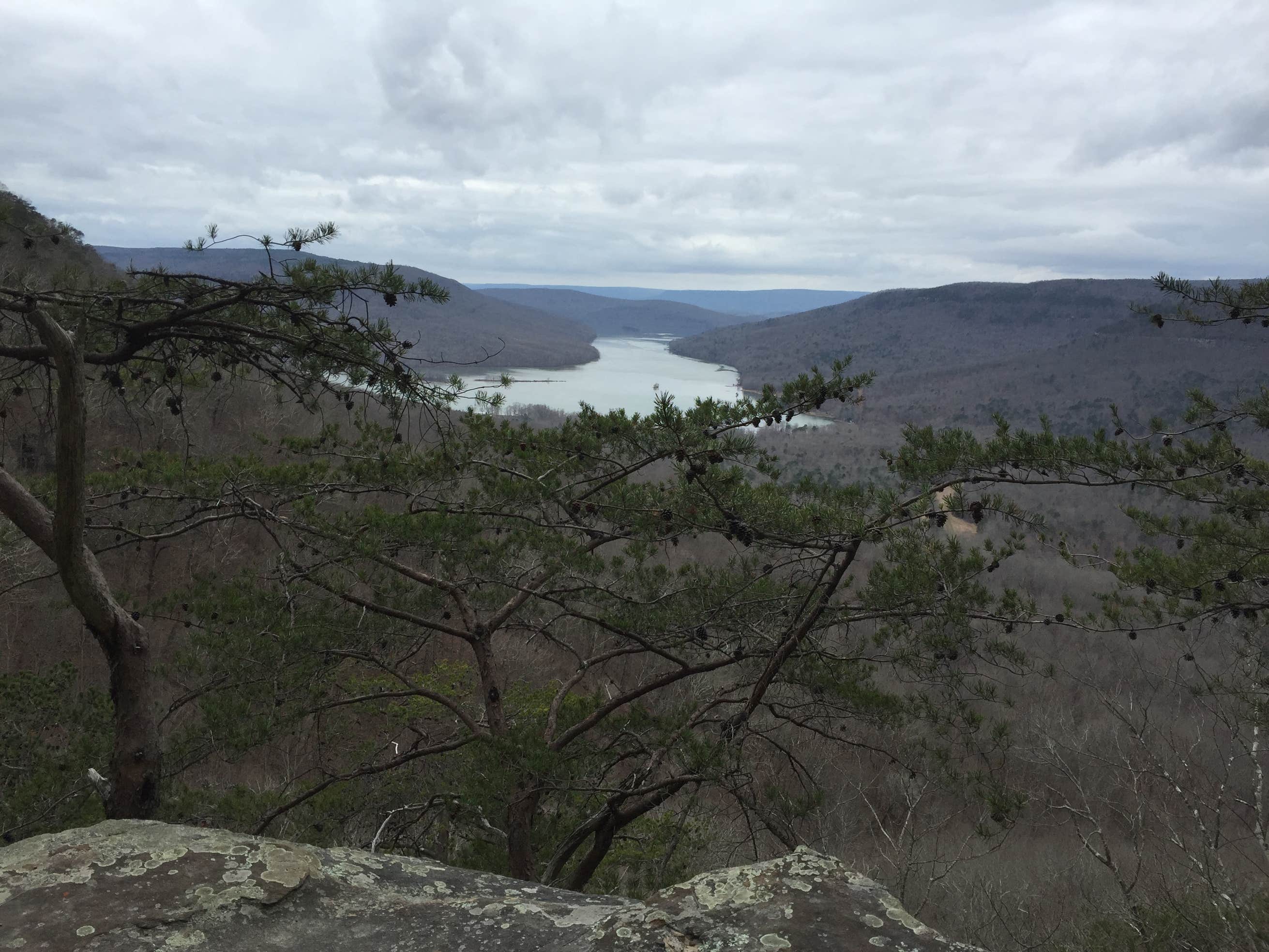 Prentice Cooper State Forest Dispersed | The Dyrt