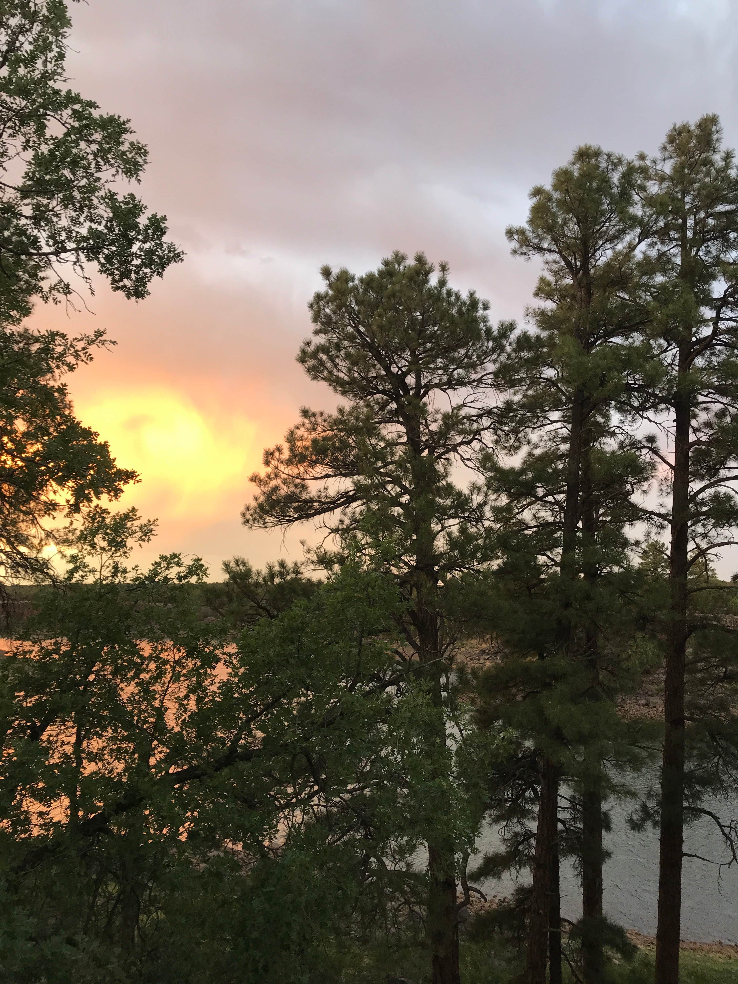 Fool Hollow Lake Recreation Area Campground | The Dyrt