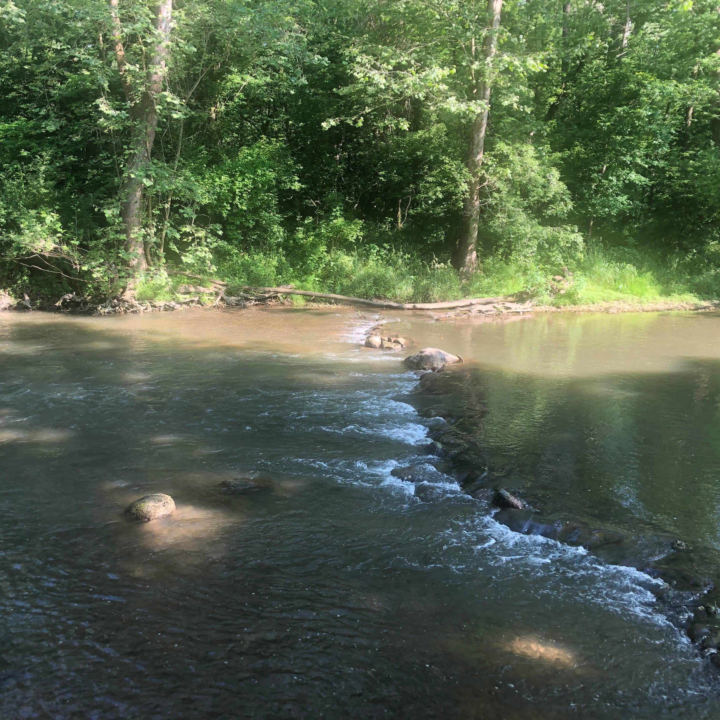 Jacoby Road Canoe Launch Camping | Yellow Springs, Ohio