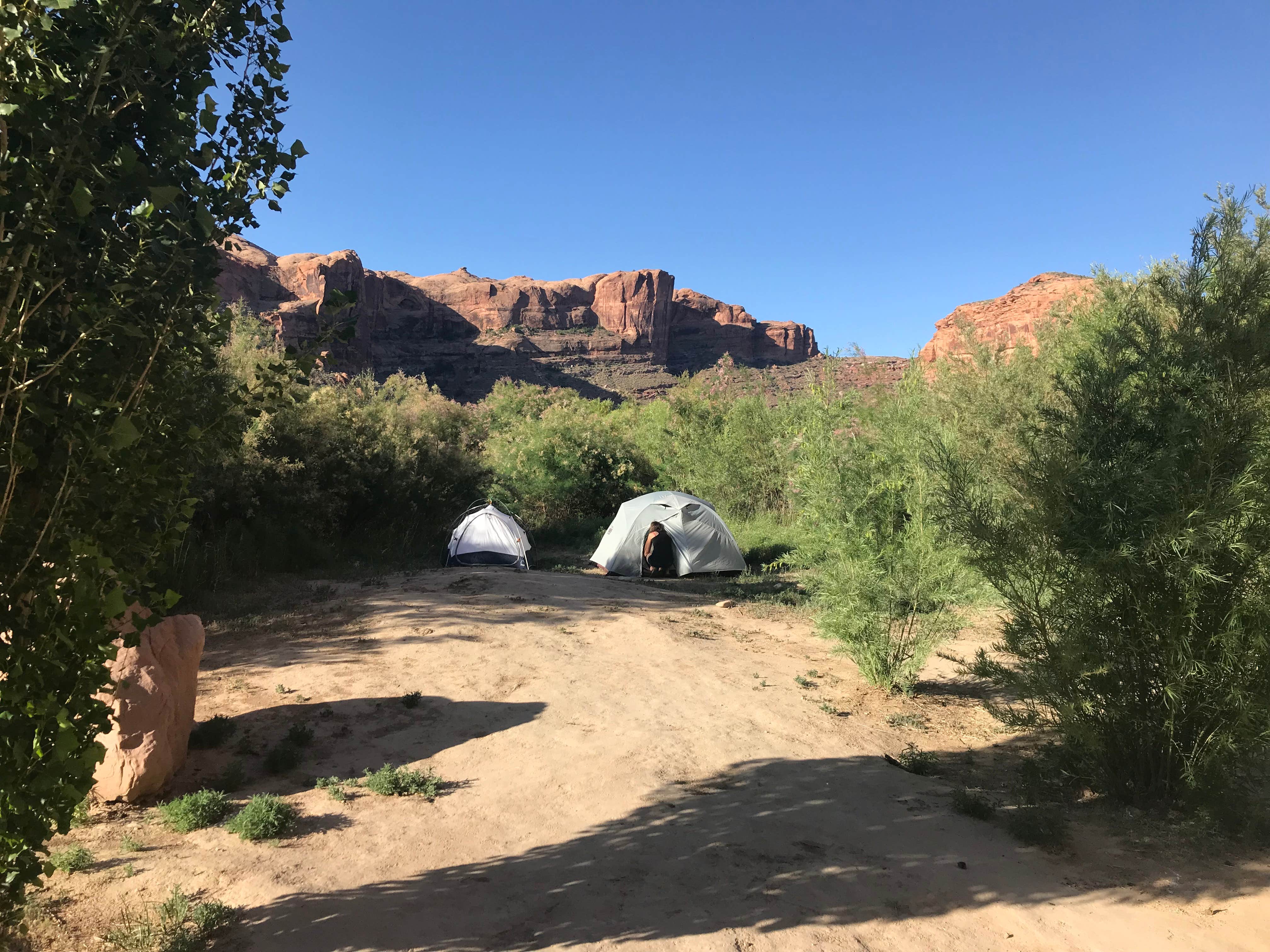 Goose Island Campground | Moab, Utah