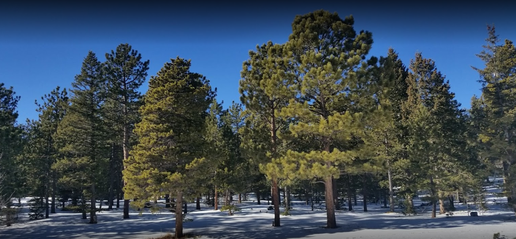 Gordon Gulch Dispersed Area | The Dyrt