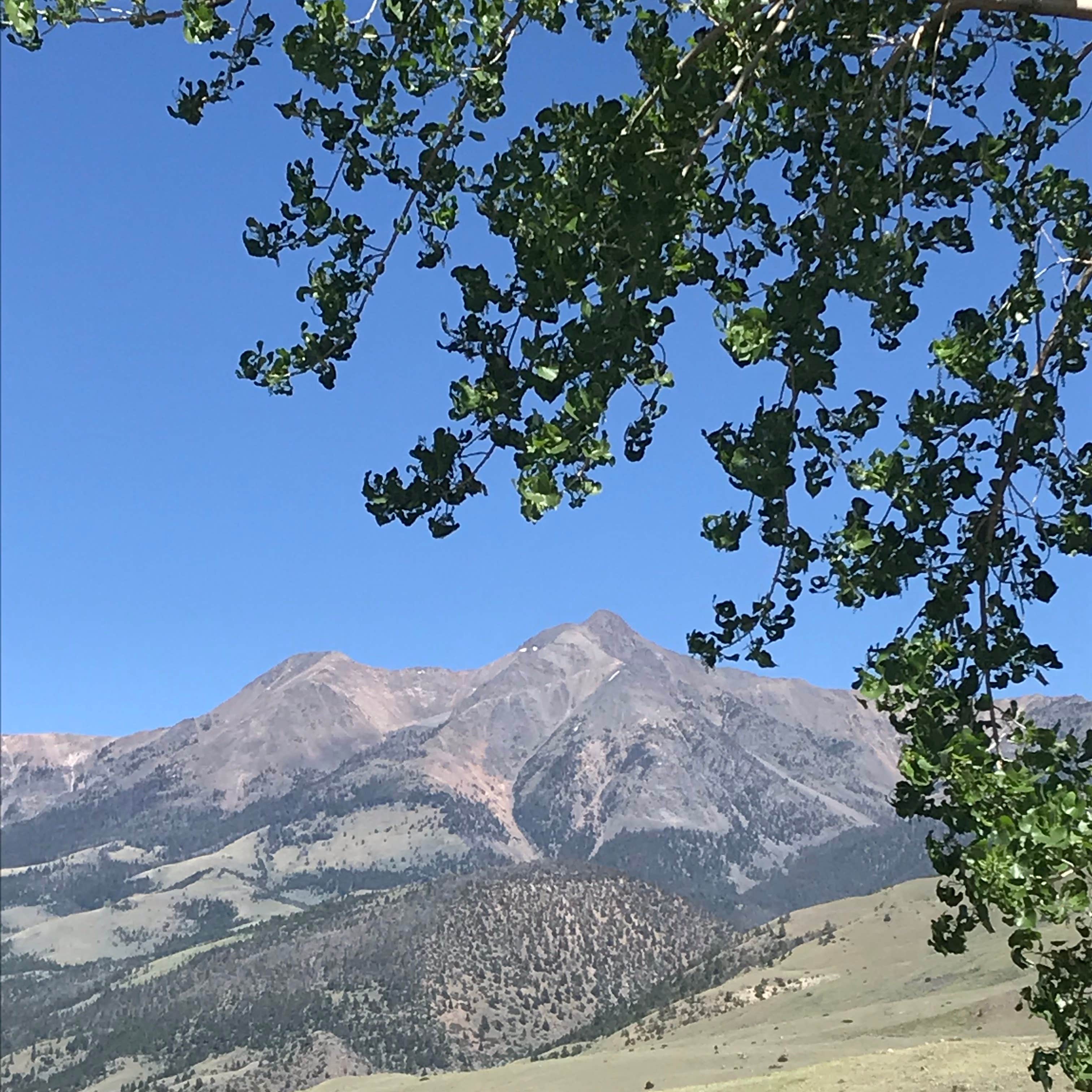 Dailey Lake Camping | The Dyrt