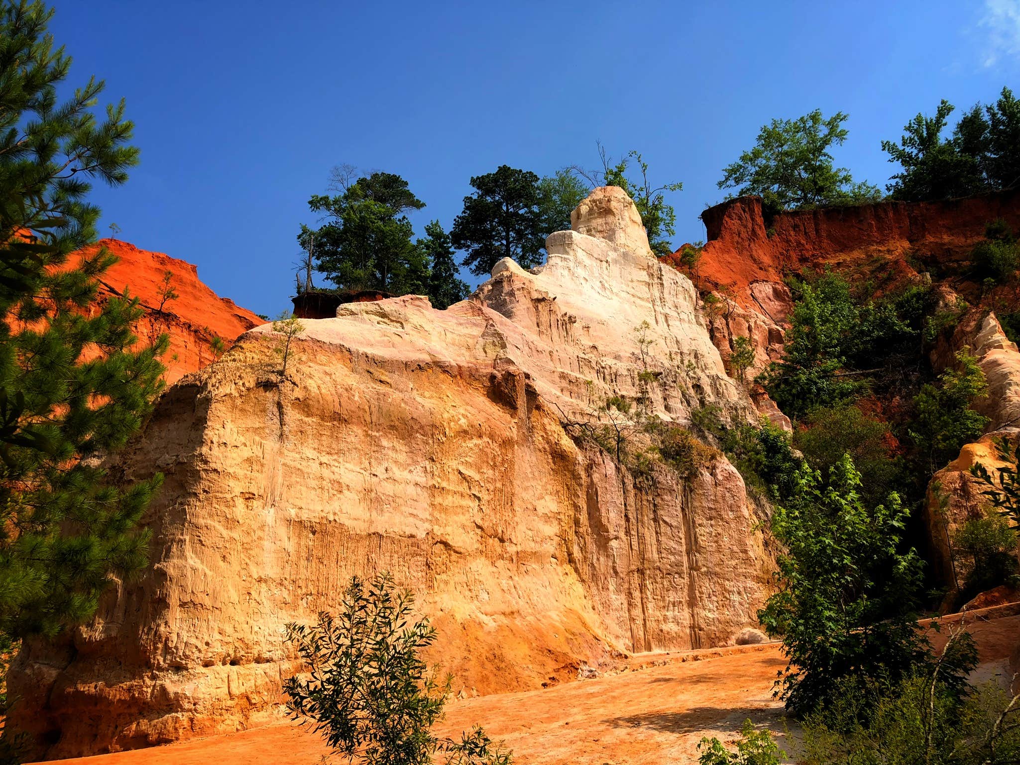Florence Marina State Park Campground | Omaha, GA