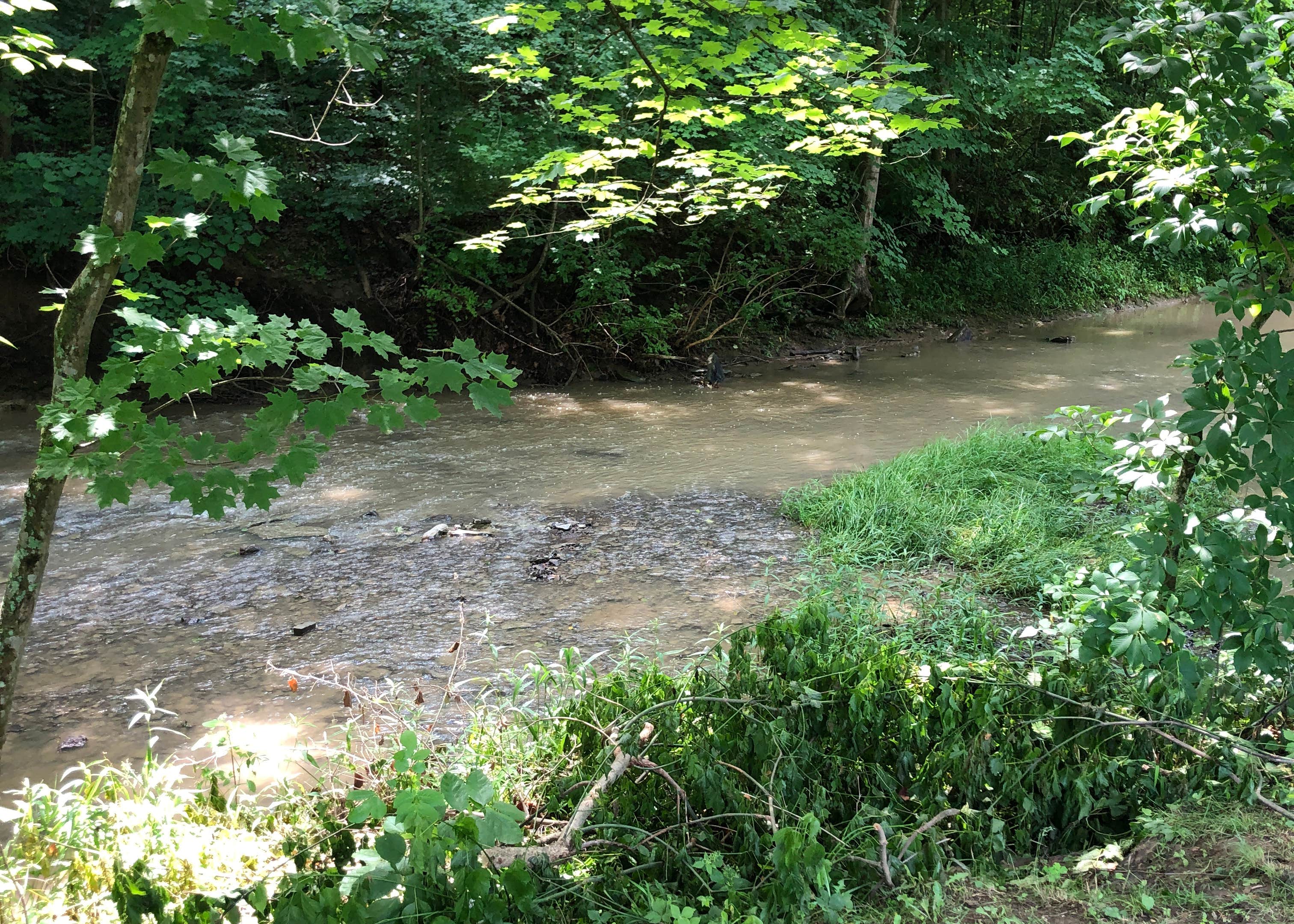 Oak Creek Campground Camping | The Dyrt