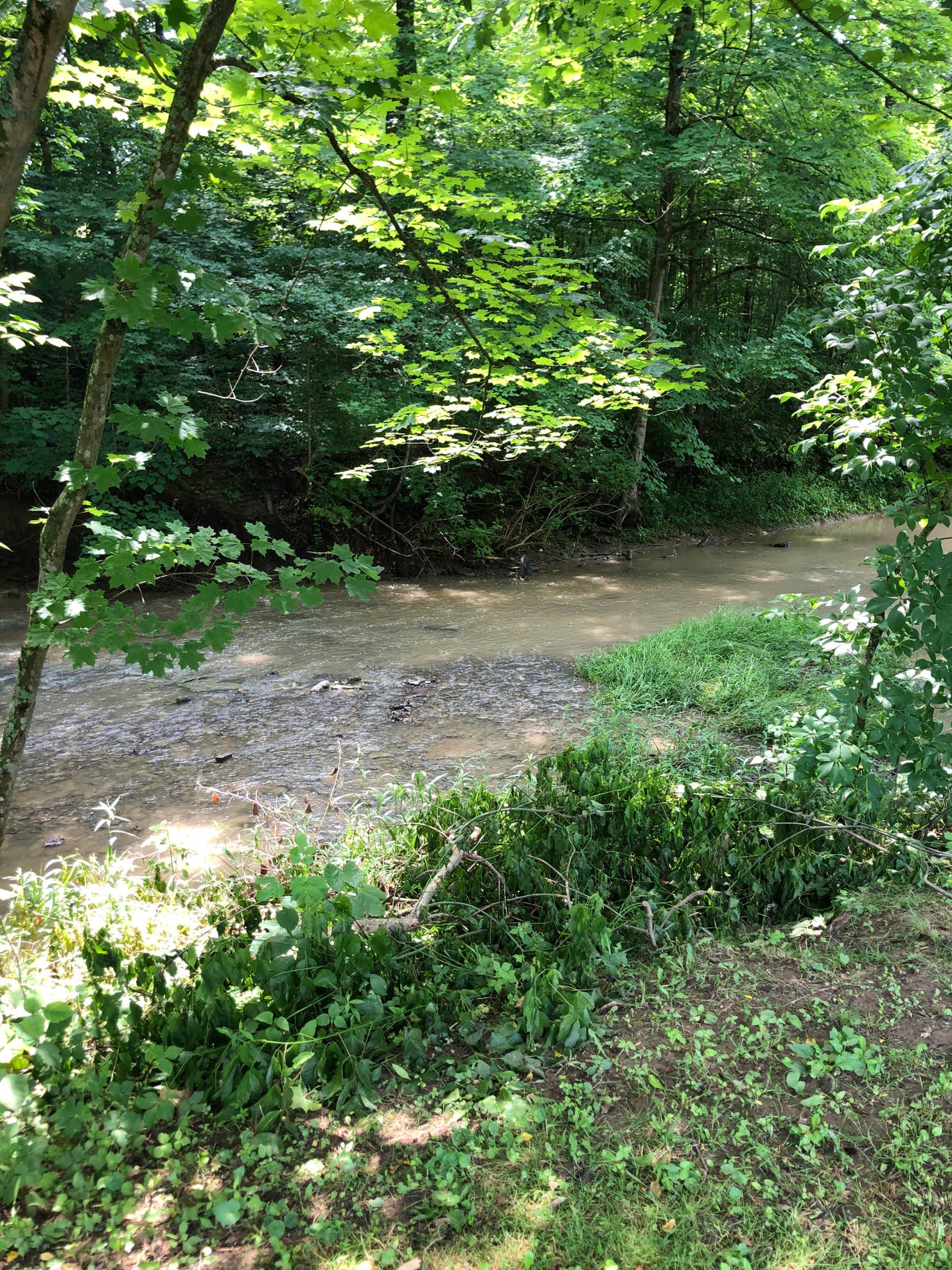 Oak Creek Campground Camping | The Dyrt